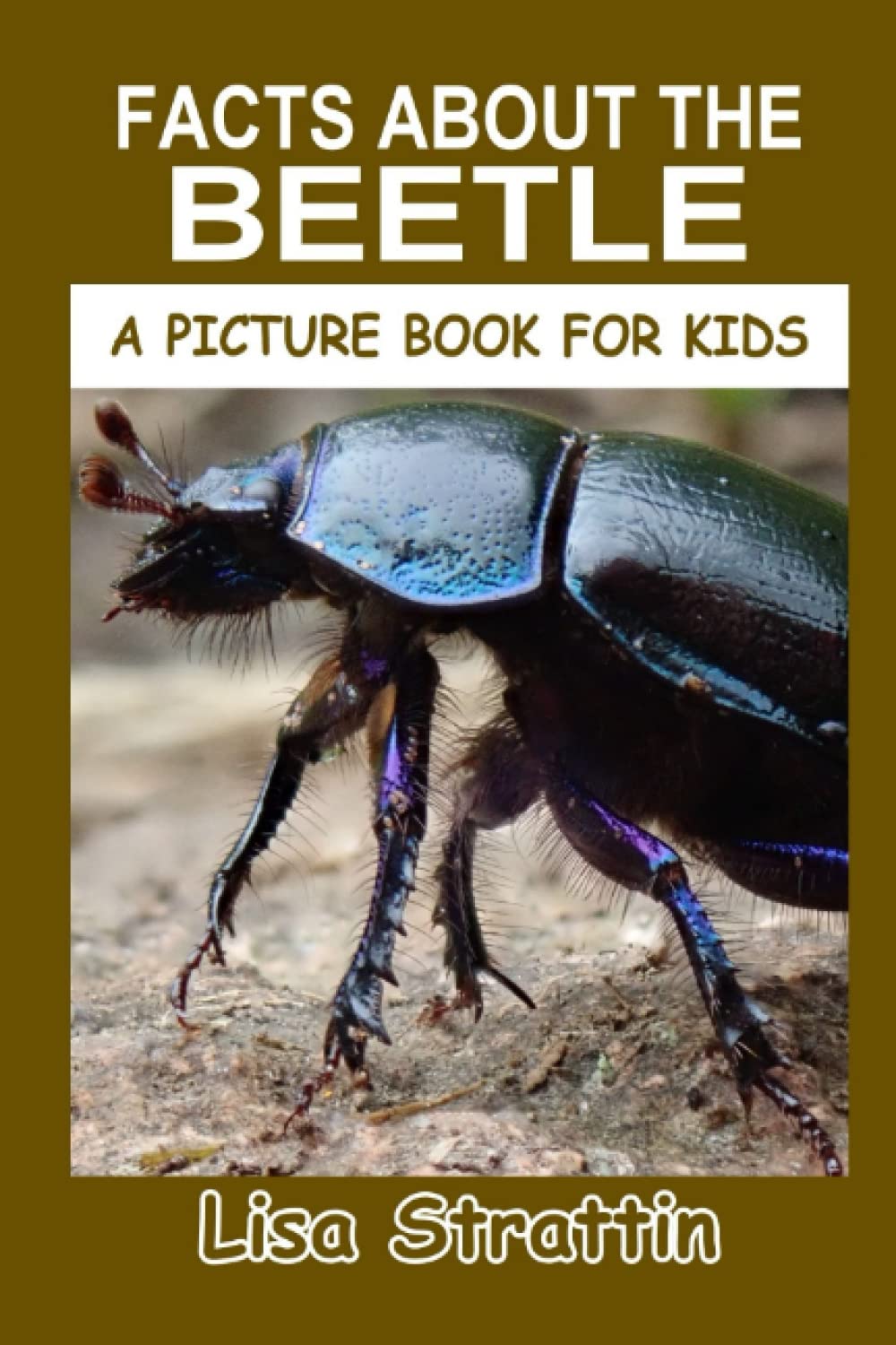 Facts About the Beetle (A Picture Book For Kids) by Lisa Strattin ...