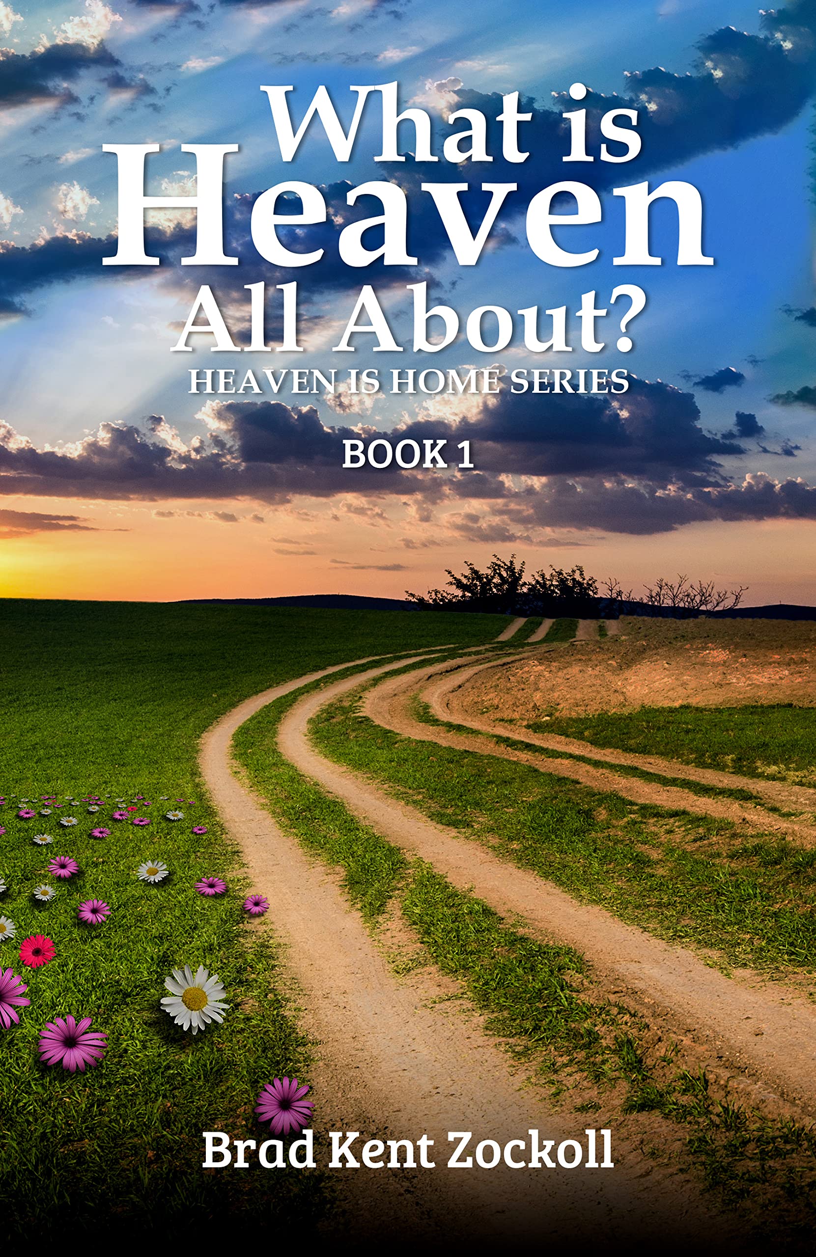 What is Heaven All About?: "Heaven is Home" series Book 1 by Brad ...