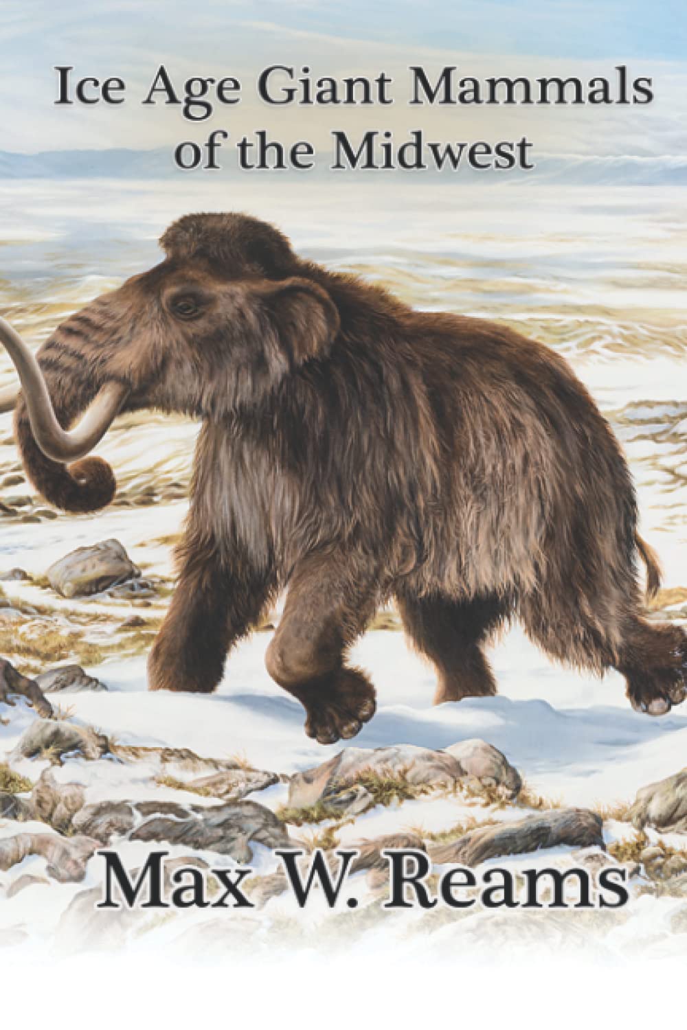 Ice Age Giant Mammals of the Midwest: The Late Pleistocene Midwest ...