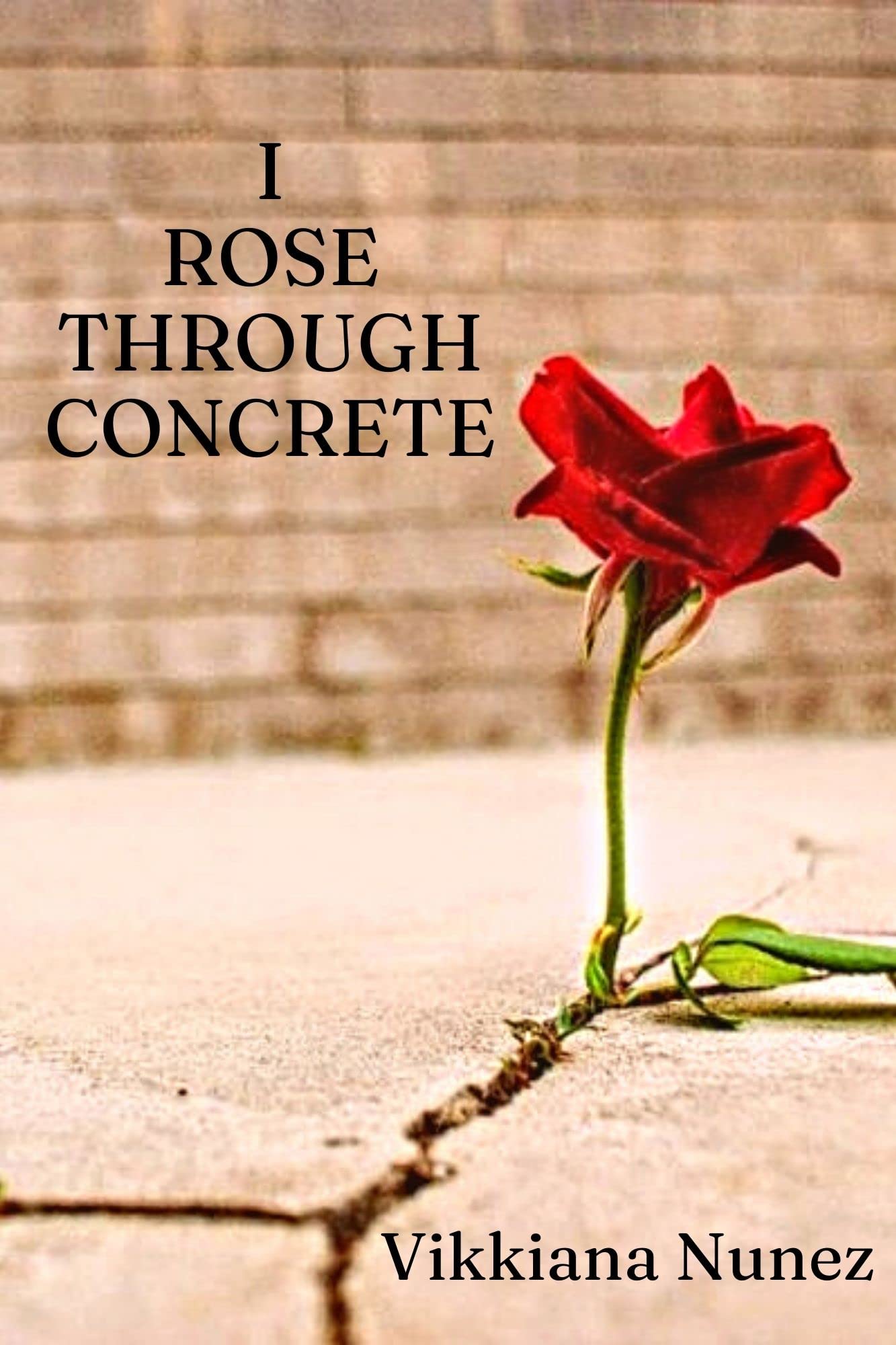 I Rose Through Concrete by Vikkiana Nunez | Goodreads