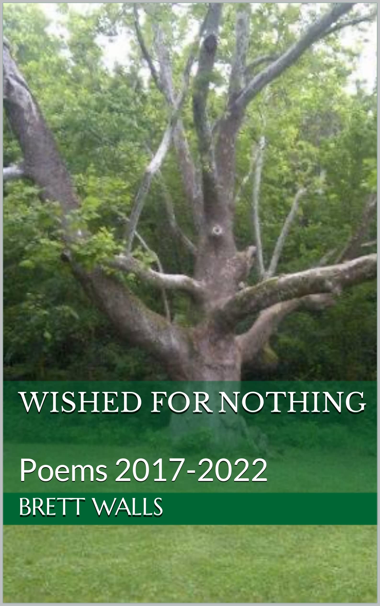 Wished For Nothing: Poems 2017-2022 by Brett Walls | Goodreads