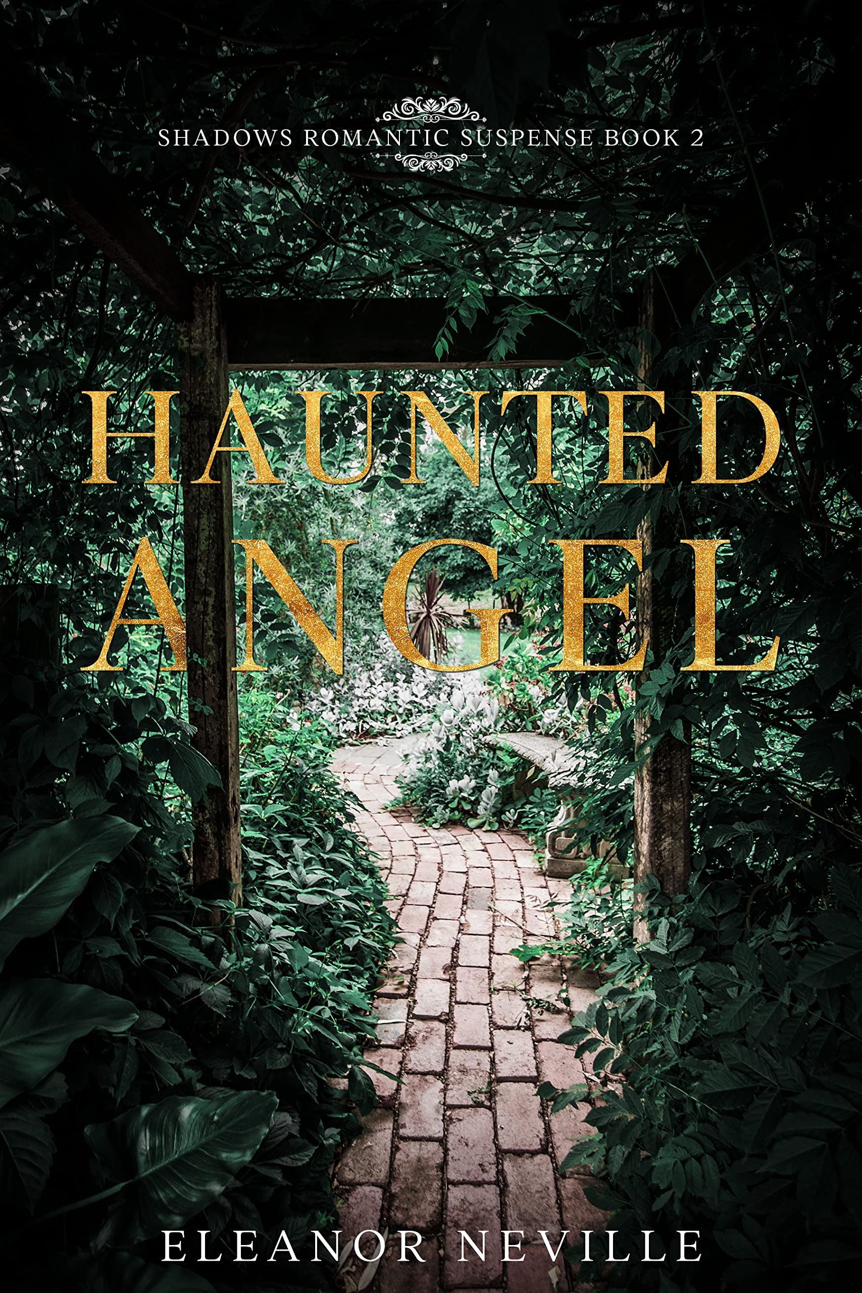 Haunted Angel: Shadows Romantic Suspense Book 2 - Ideal summer reading ...