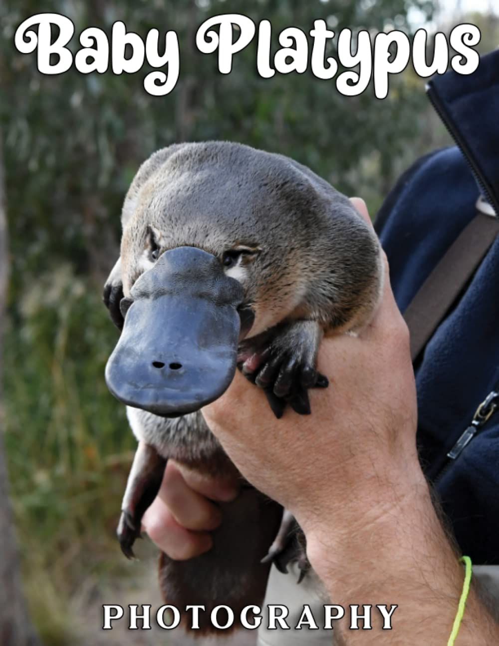 Duck Billed Platypus Baby