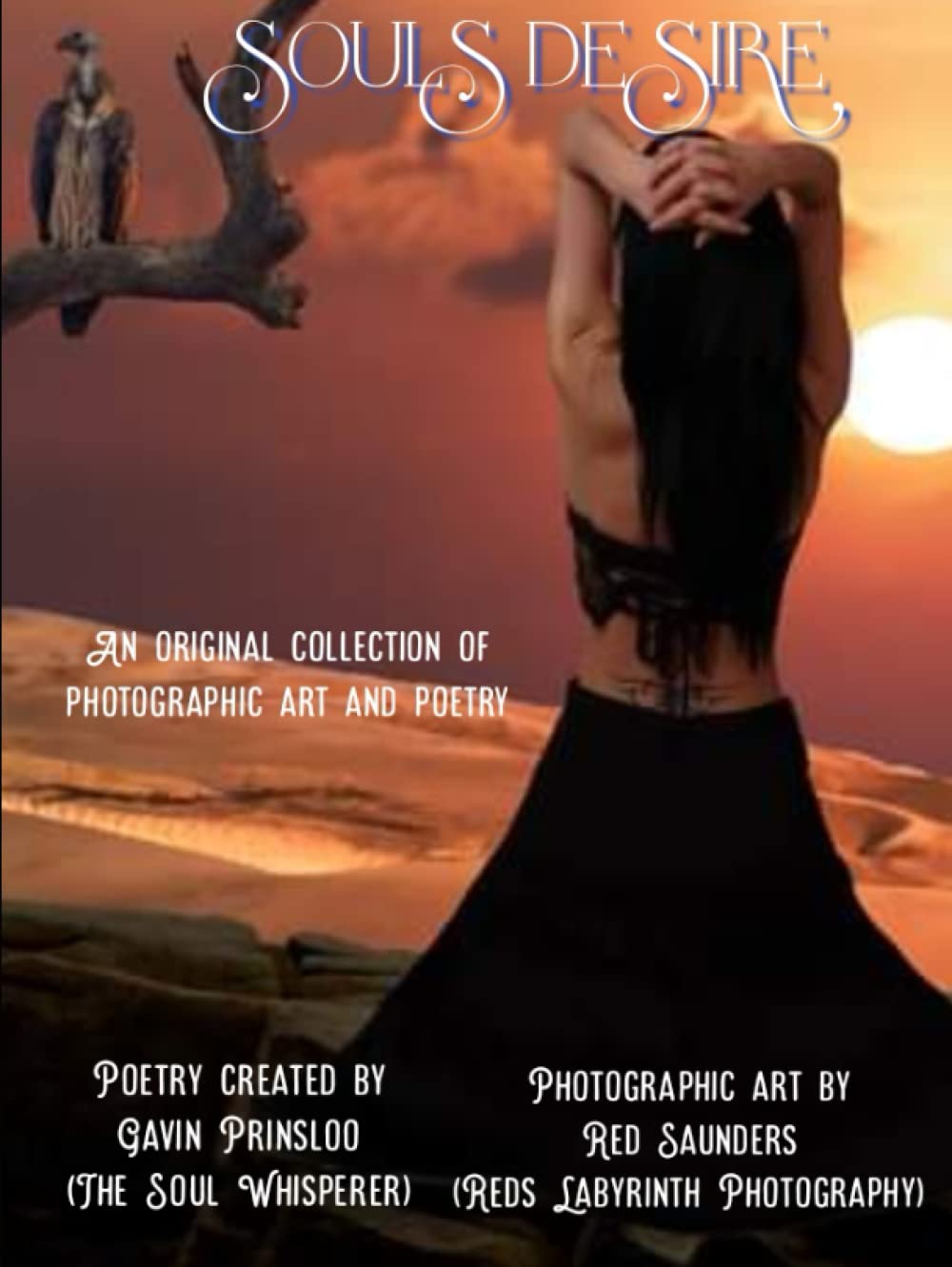 Souls Desire by Gavin Prinsloo | Goodreads