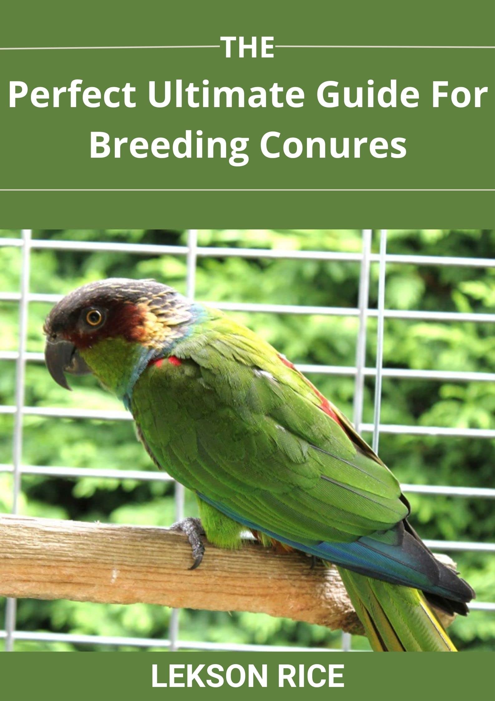 The Perfect Ultimate Guide For Breeding Conures: A Step By Step Handbook For Breeding And ...
