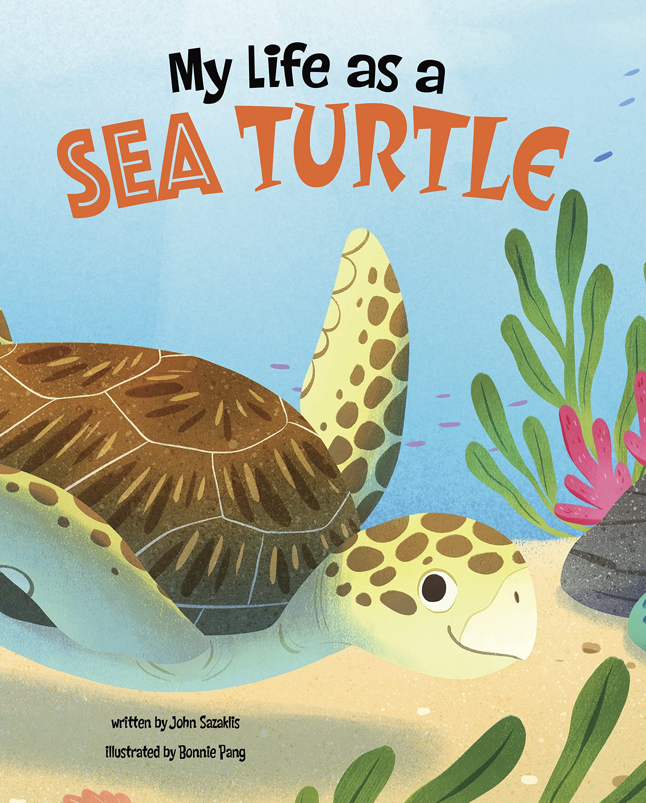 My Life As a Sea Turtle (My Life Cycle) by John Sazaklis | Goodreads