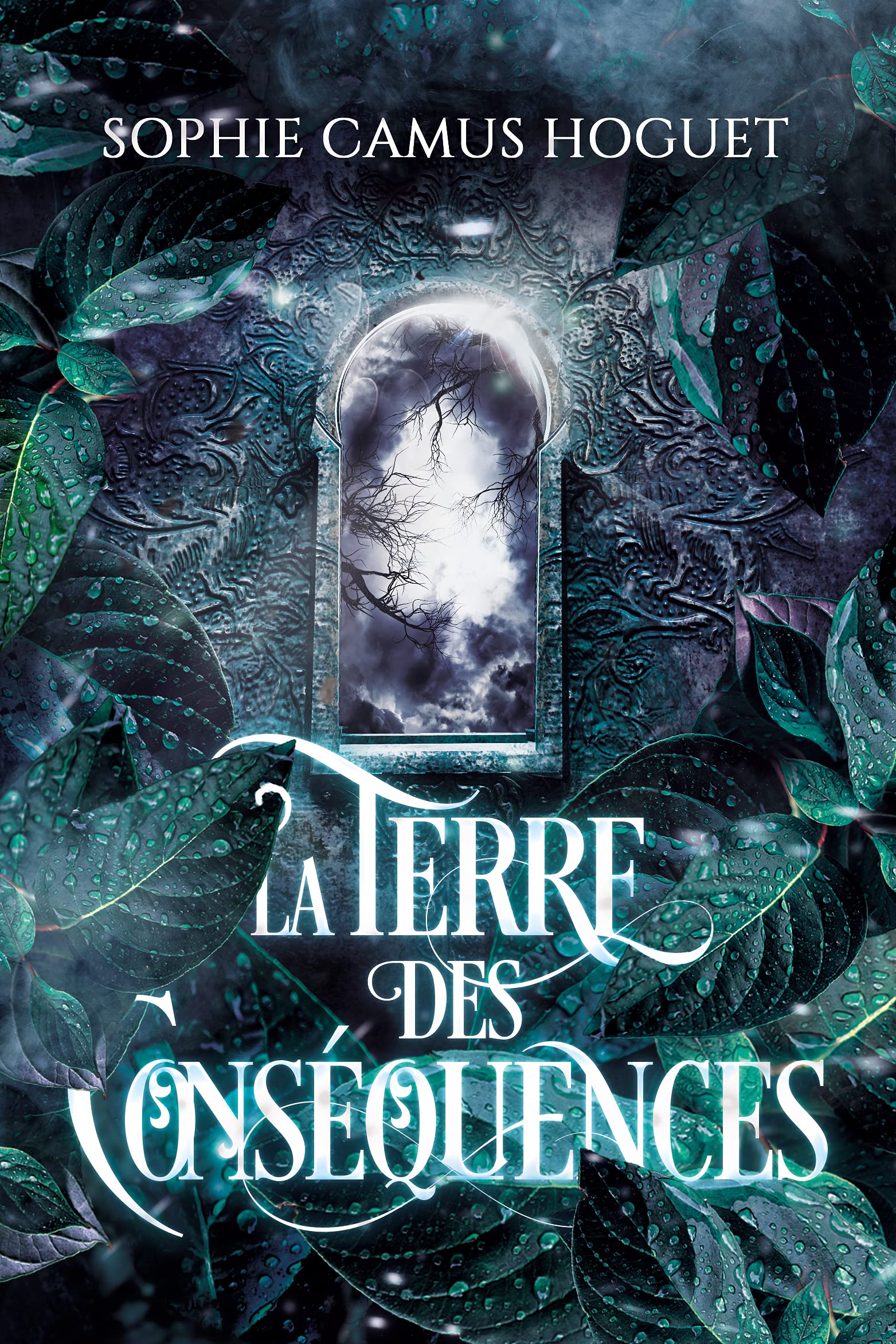 La Terre des Conséquences (French Edition) by Sophie Camus Hoguet ...