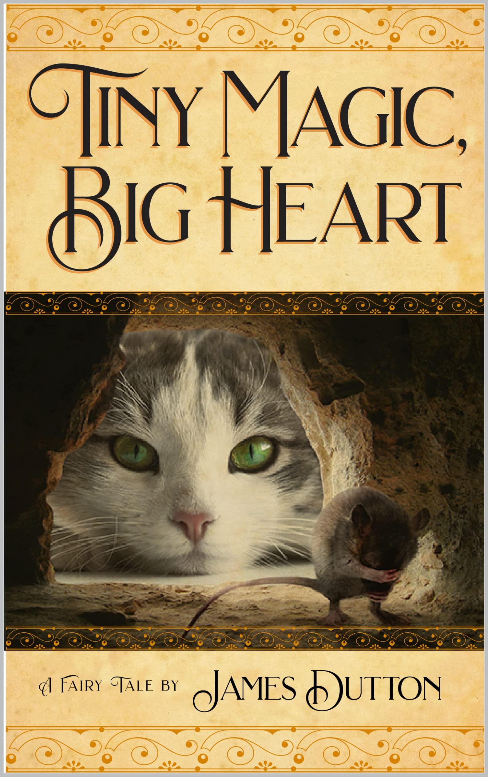 Tiny Magic, Big Heart: James Dutton's Fairy Tale Books Series by James Dutton | Goodreads