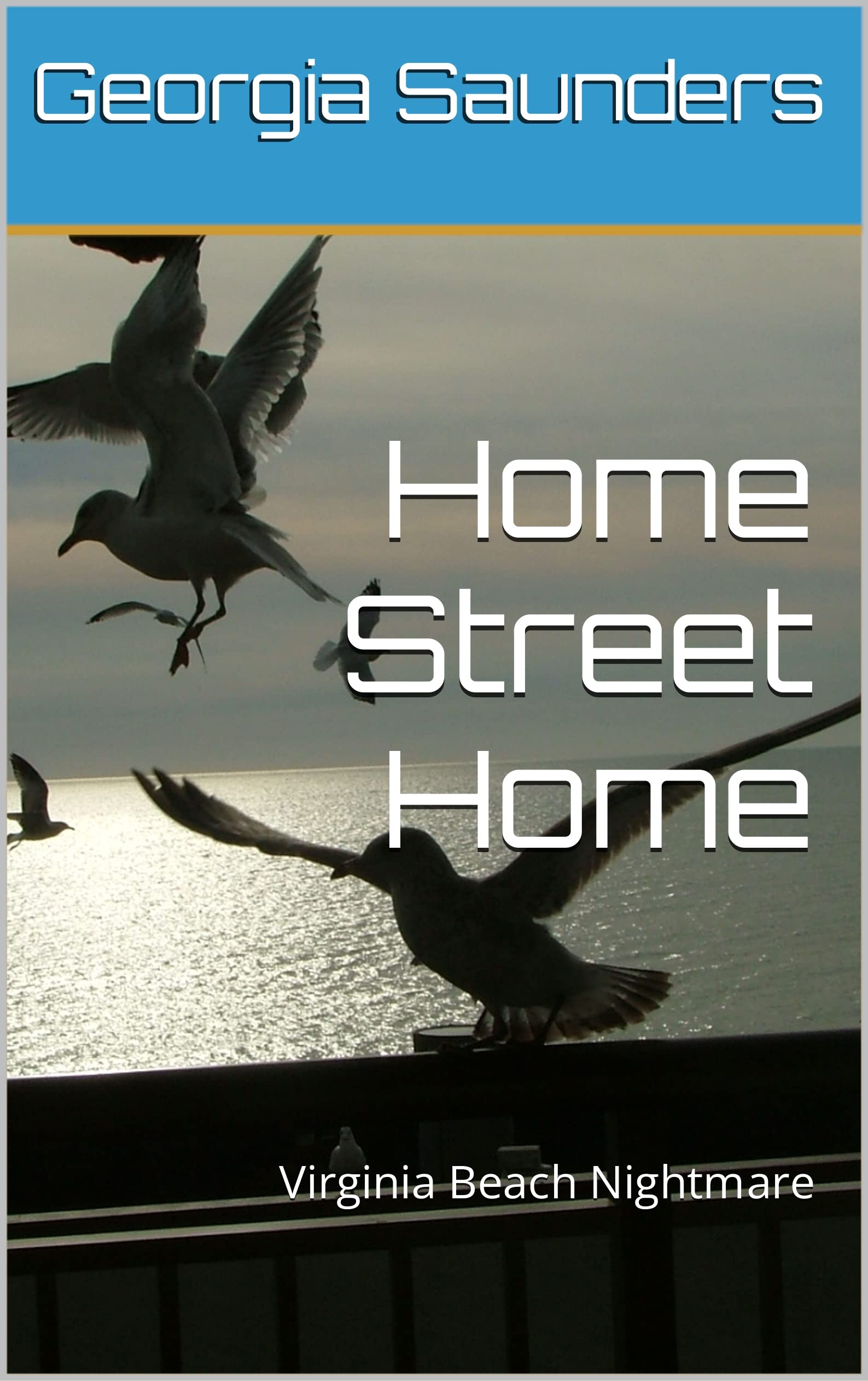 Home Street Home: Virginia Beach Nightmare by Georgia Saunders | Goodreads