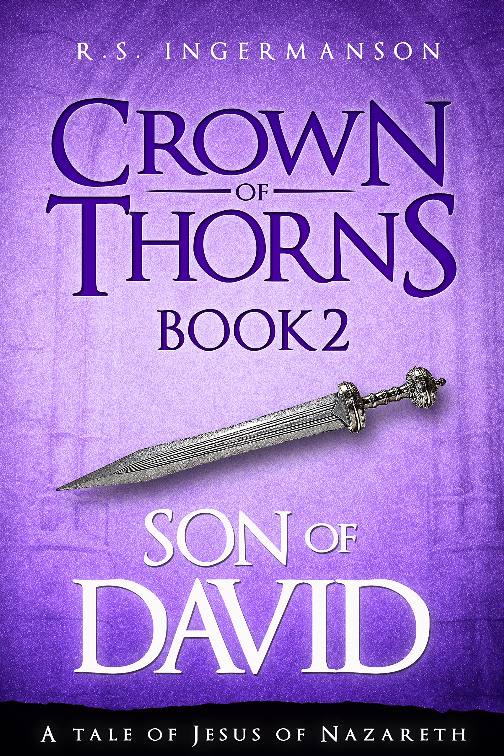 Son of David: A Tale of Jesus of Nazareth by R.S. Ingermanson | Goodreads