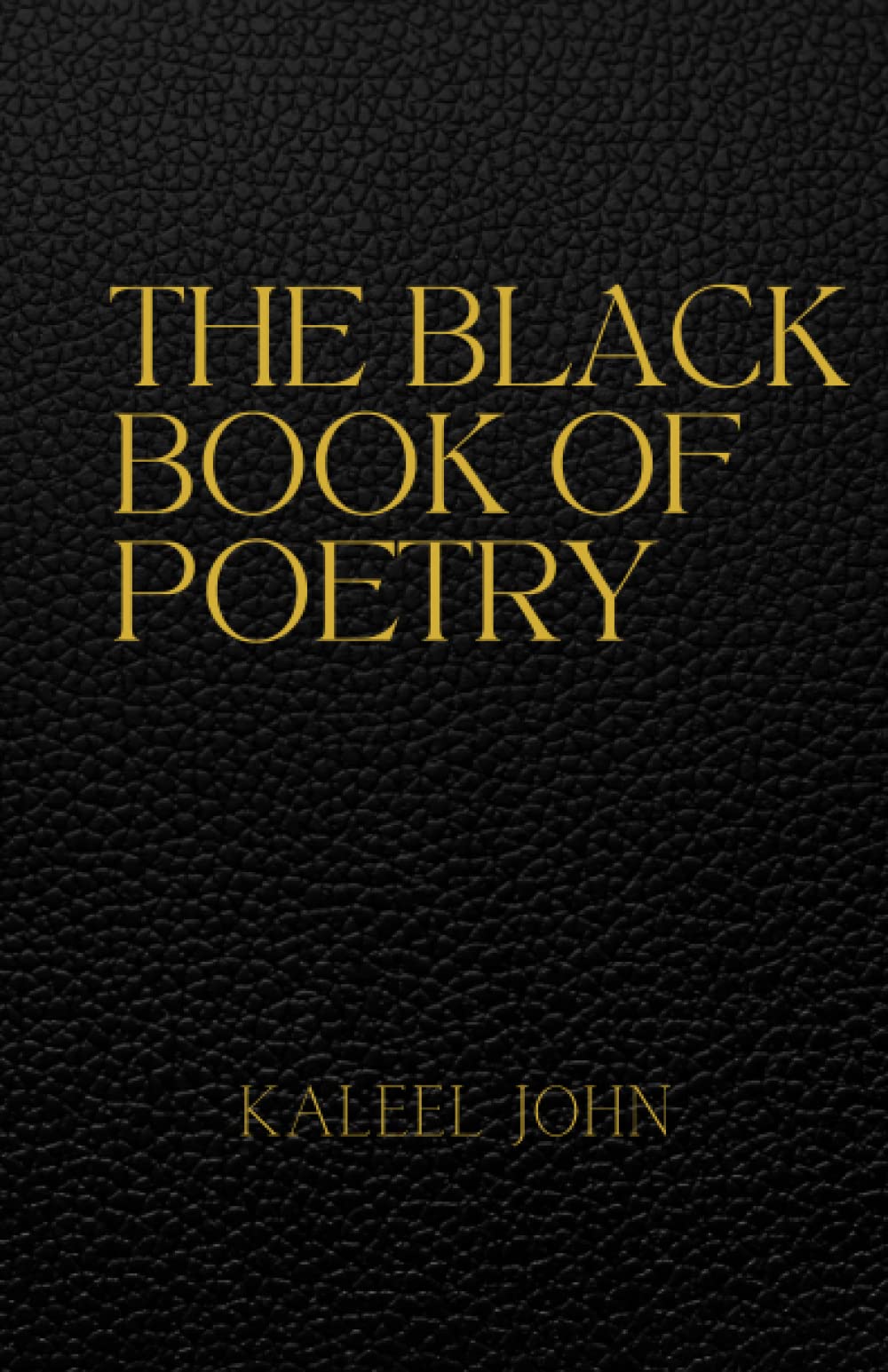 The Black Book Of Poetry: A Black man's poetic journey through love ...