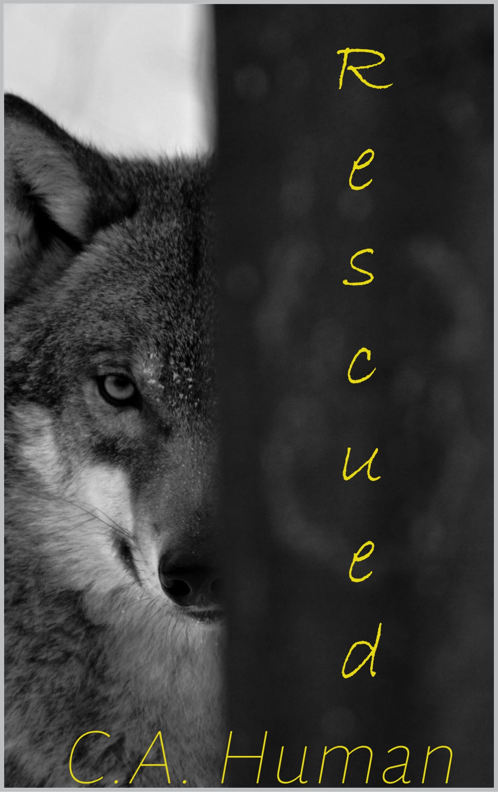 Rescued (Charlie Hunter #1) by C.A. Human | Goodreads