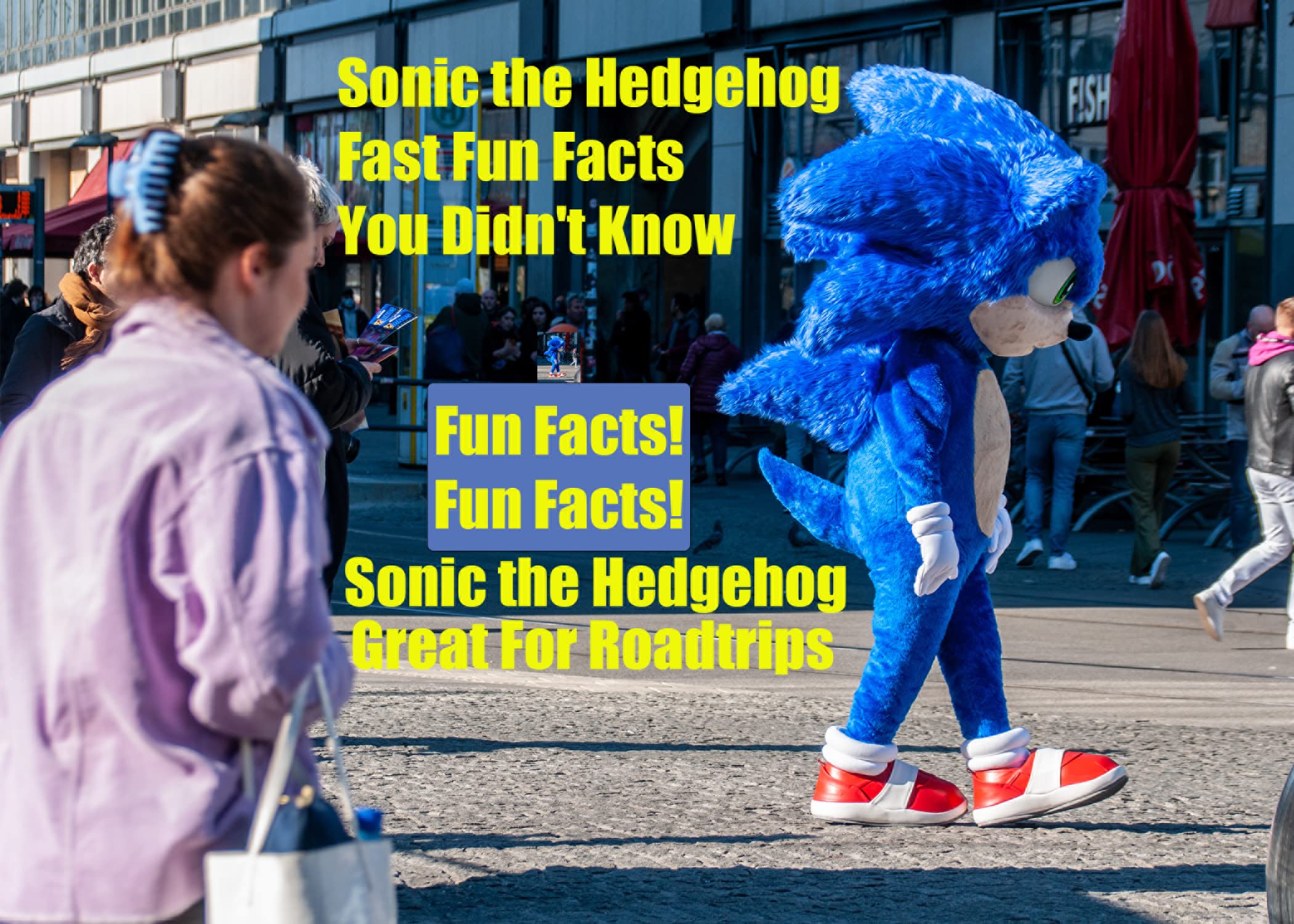 Sonic the Hedgehog Fast Fun Facts You Didn't Know by Poppy Gang | Goodreads