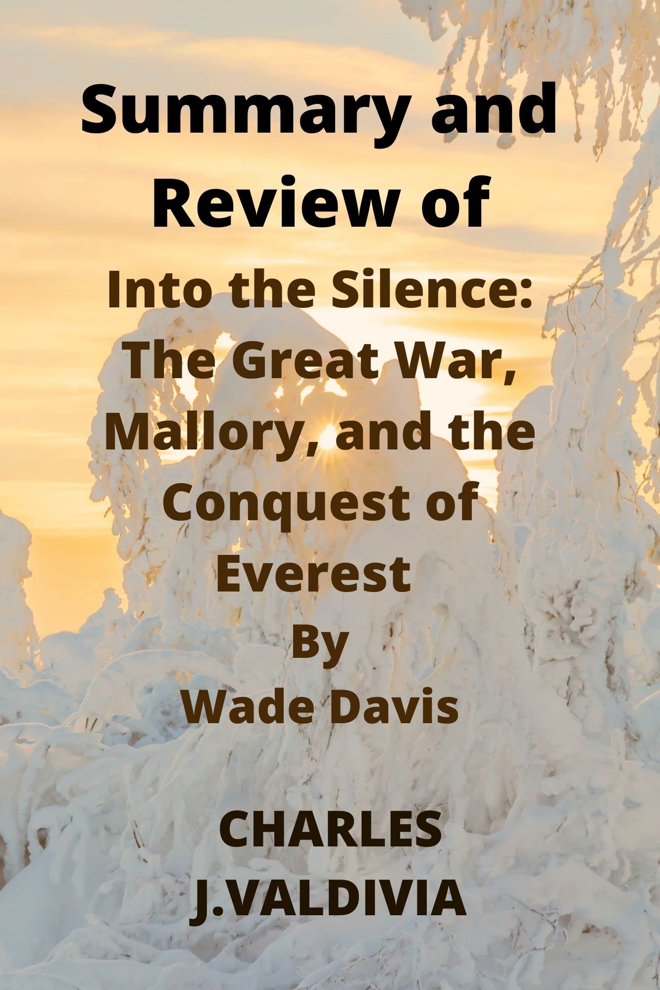Summary and Review of: Into the Silence: The Great War, Mallory, and ...