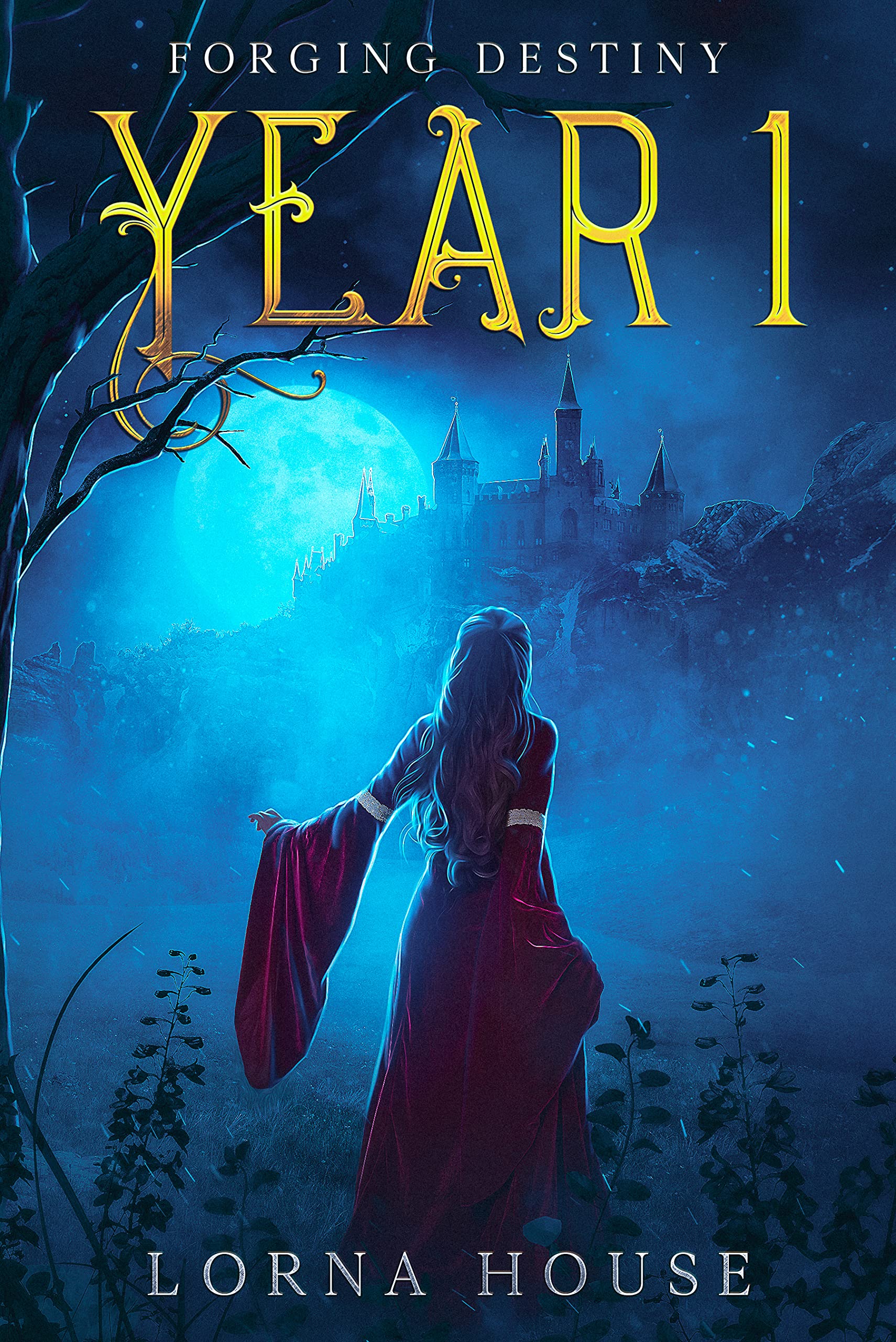 Year 1: Forging Destiny by Lorna House | Goodreads