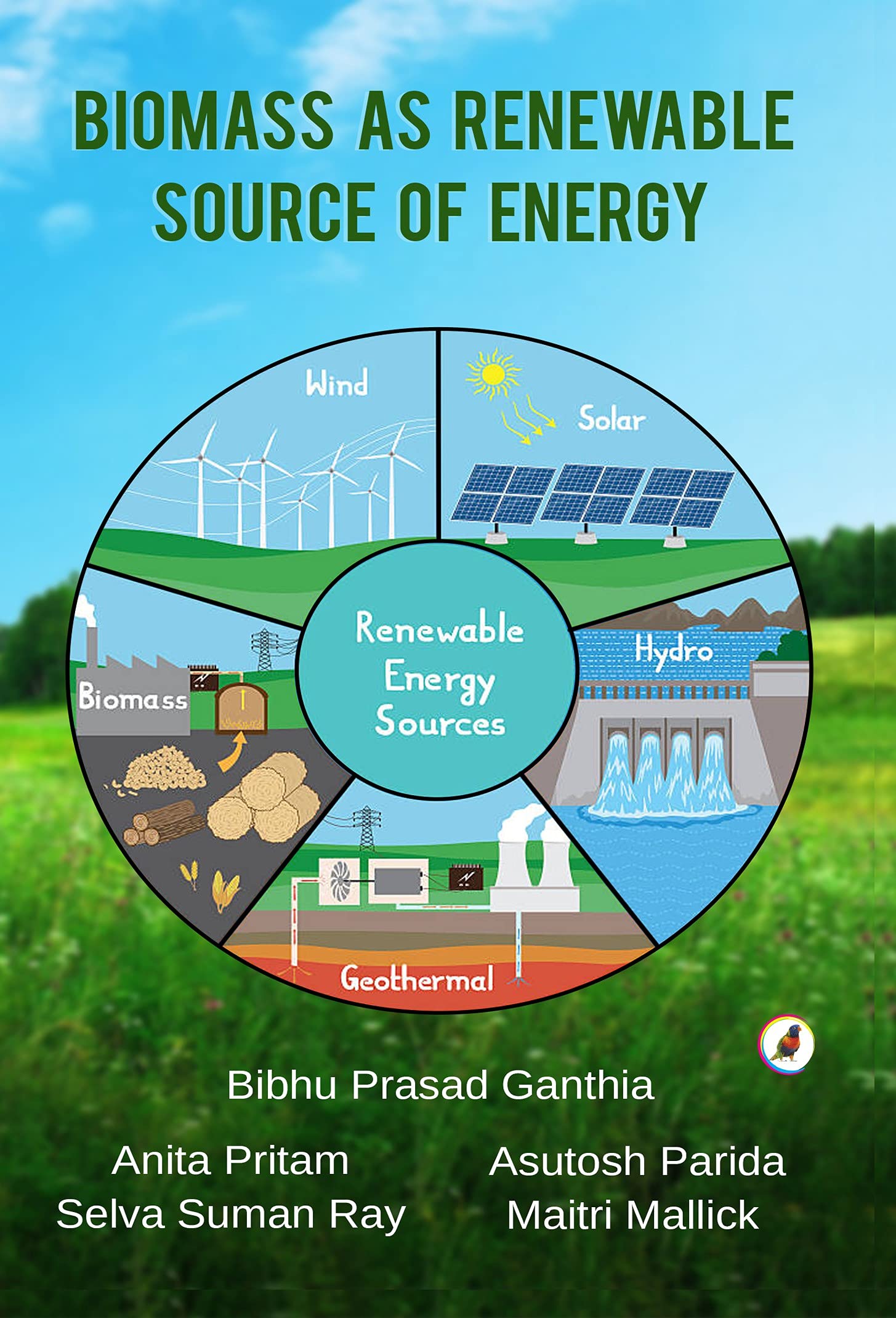 BIOMASS : AS RENEWABLE SOURCE OF ENERGY by Bibhu Prasad Ganthia | Goodreads