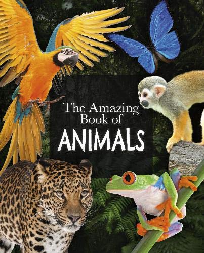 The Amazing Book of Animals by Dr Michael Leach | Goodreads