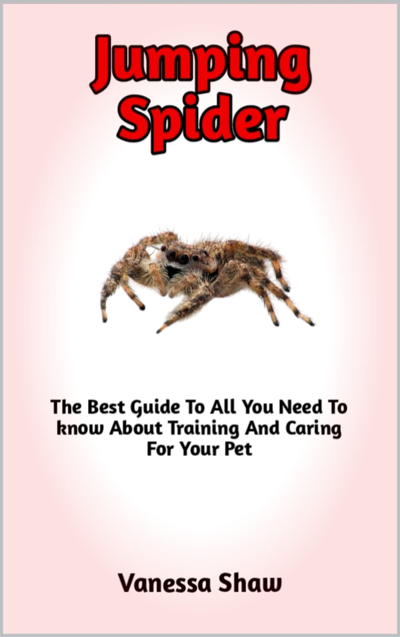 Jumping Spider: A Comprehensive Guide On Housing, Handling, Cost, Care ...