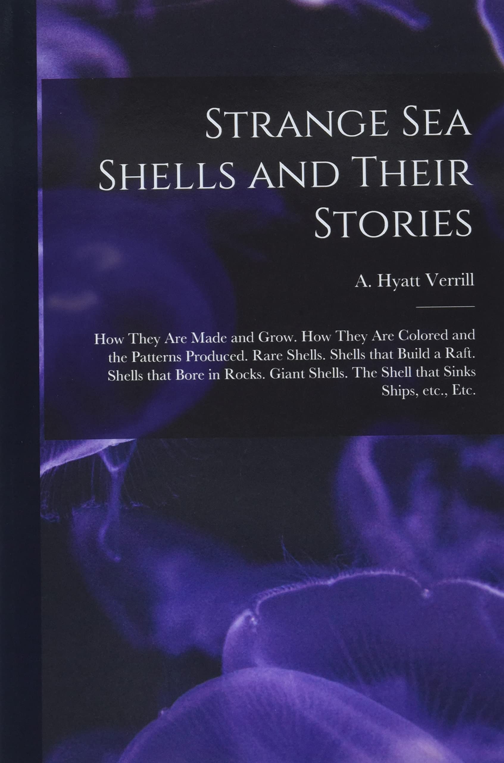 Strange Sea Shells and Their Stories: How They Are Made and Grow. How ...