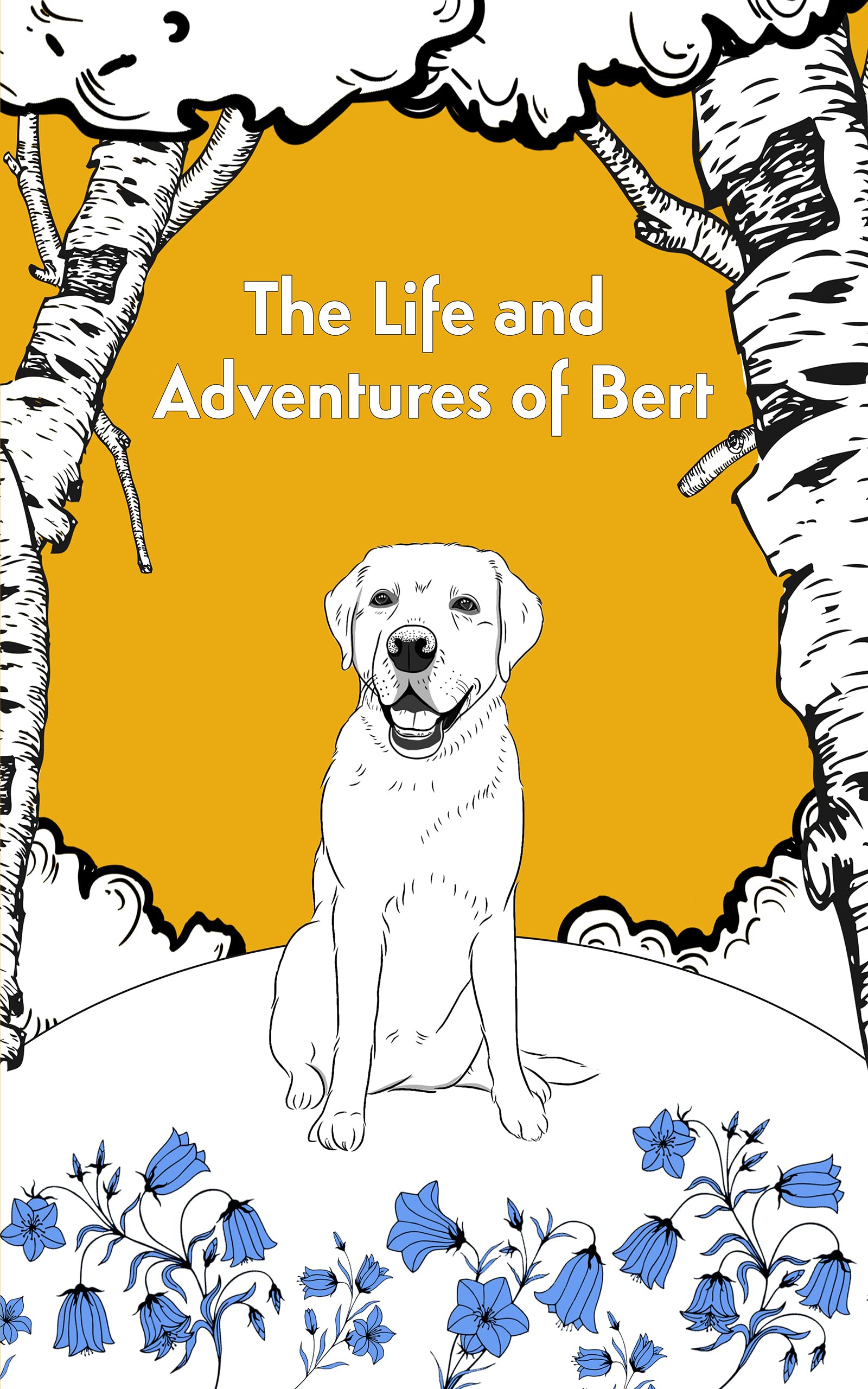 The Life and Adventures of Bert by Mr Ross Anderson Graham | Goodreads