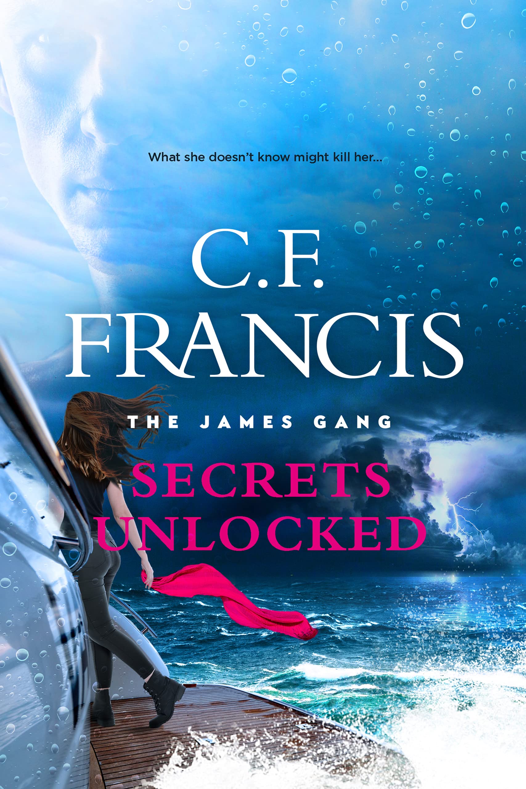 Secrets Unlocked: Opposites Attract Romantic Suspense by C.F. Francis ...