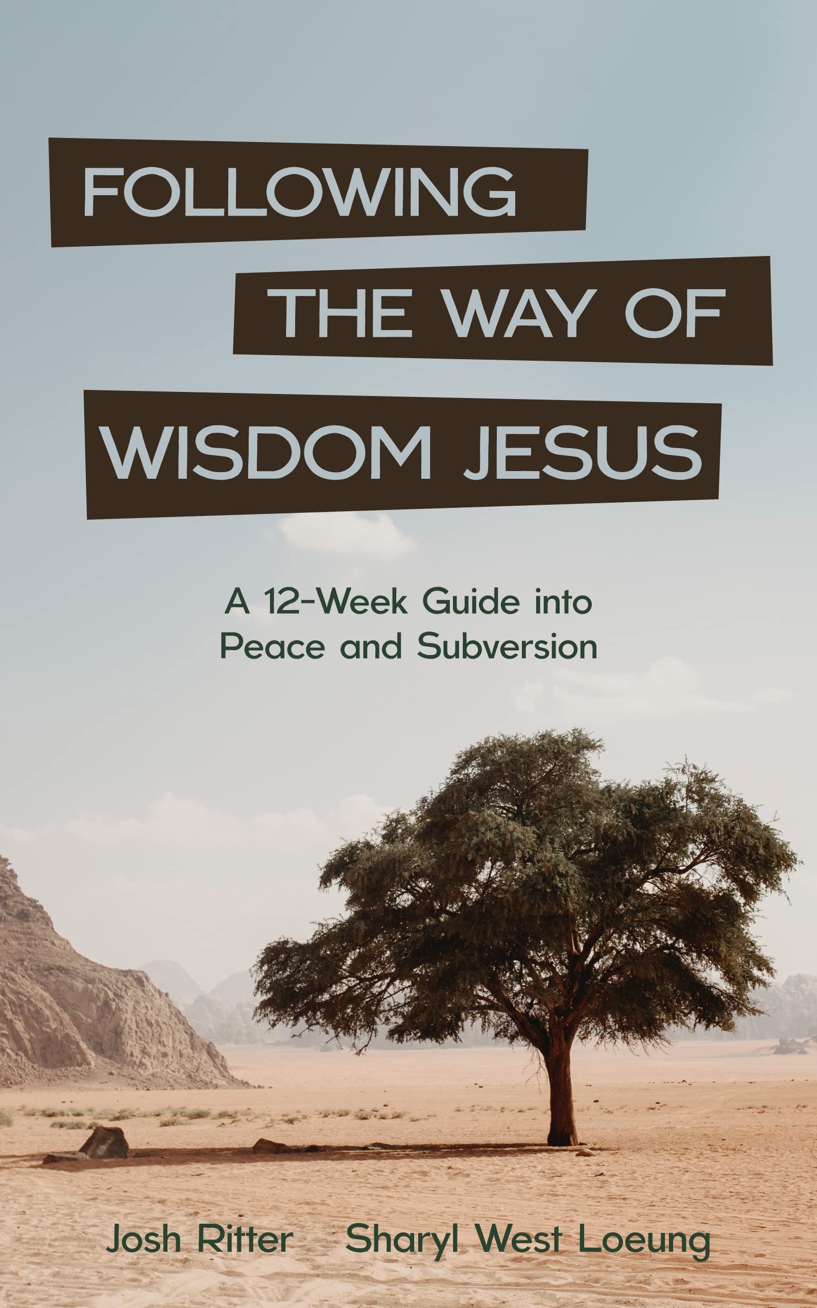 Following the Way of Wisdom Jesus: A 12-Week Guide into Peace and ...