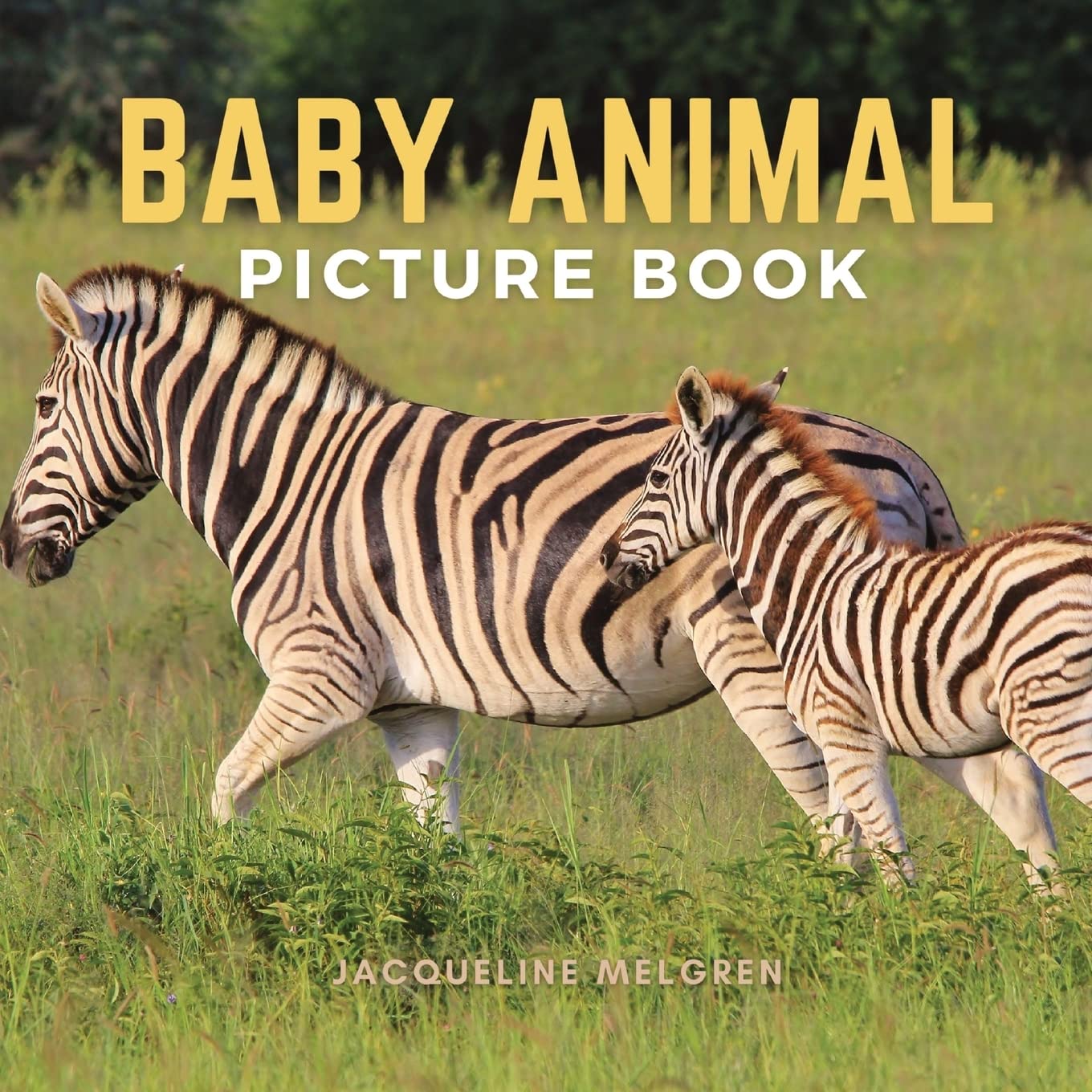 Baby Animal Picture Book: Dementia Patients Gifts for Someone You Love ...