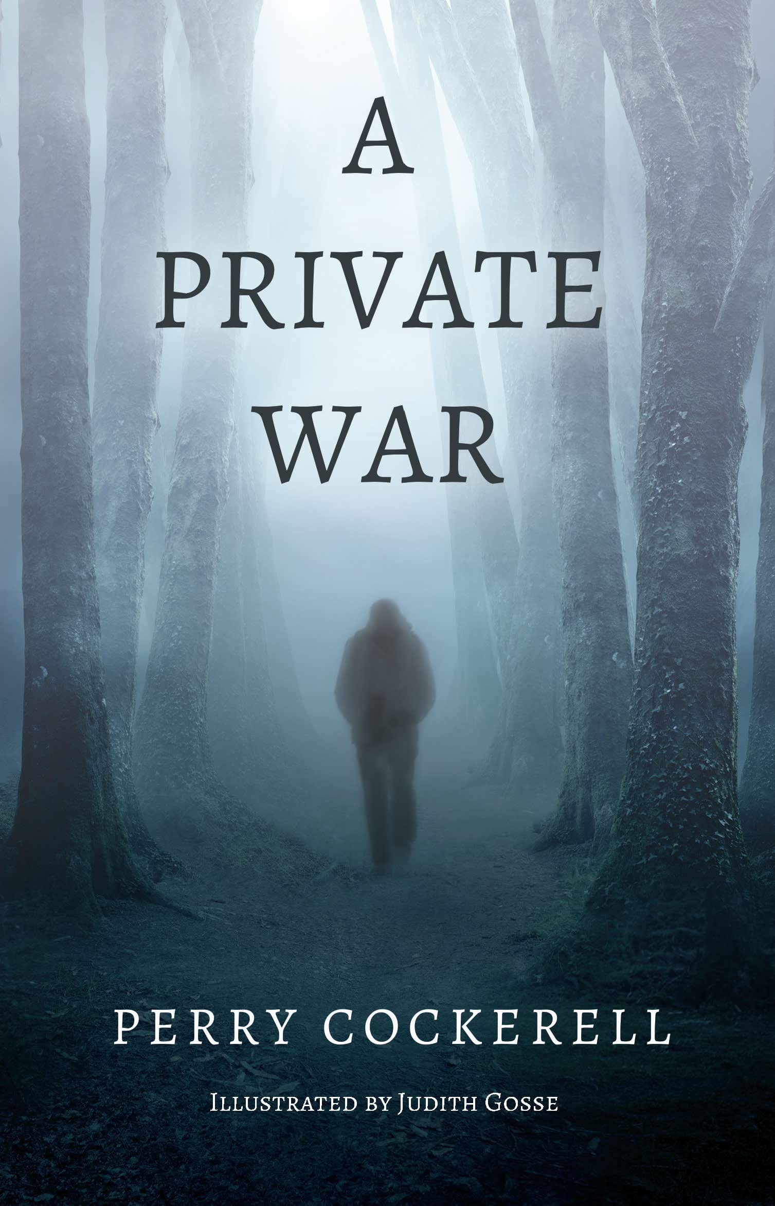 A Private War: Andre and Booker by Perry Cockerell | Goodreads