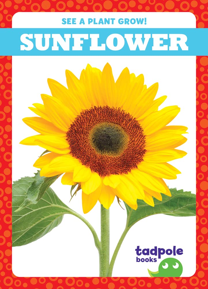 Sunflower (Tadpole Books: See a Plant Grow!) by Charlie W. Sterling ...