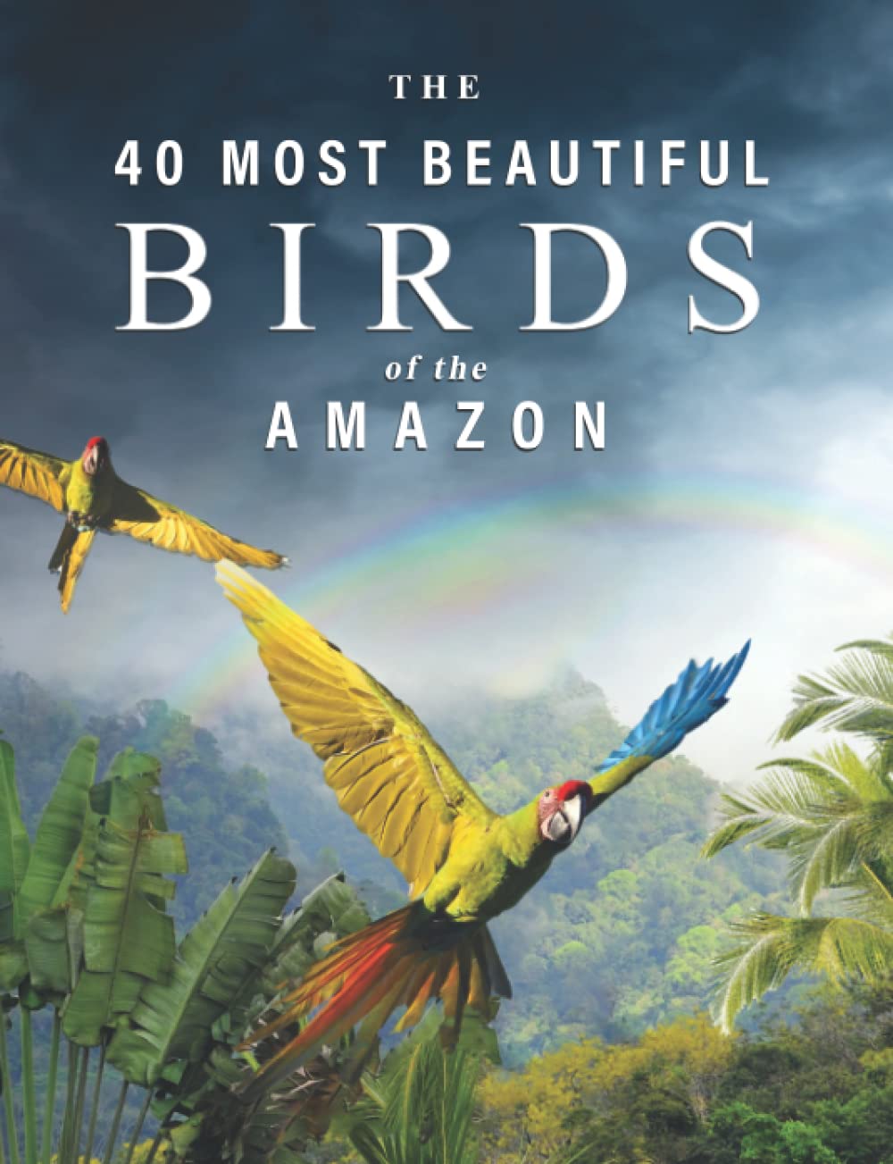 The 40 Most Beautiful Birds of the Amazon: A full color picture book ...