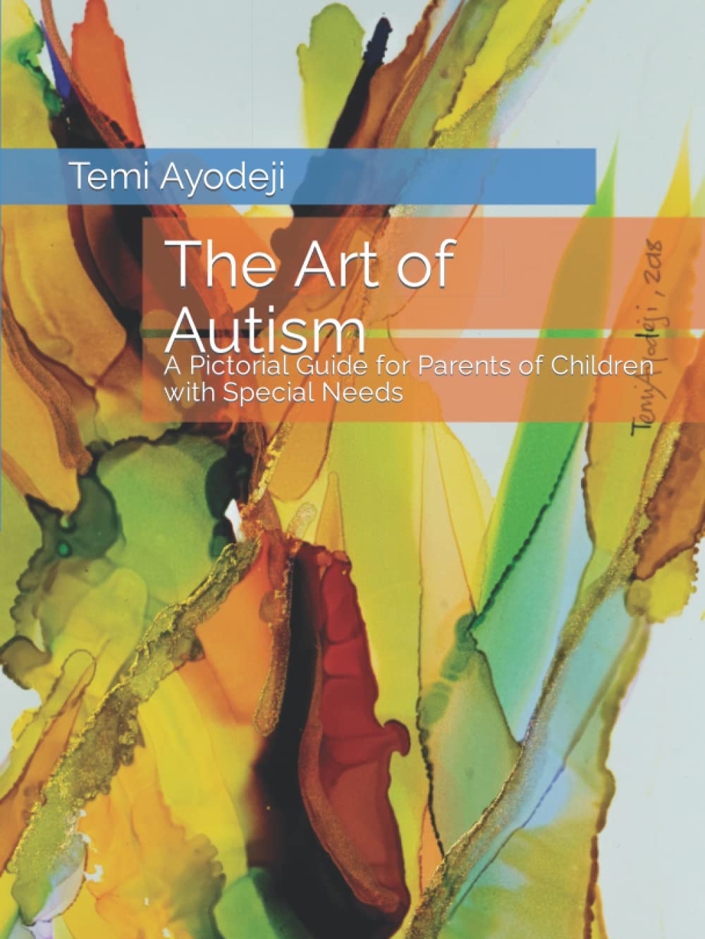 The Art of Autism: A Pictorial Guide for Parents of Children with ...
