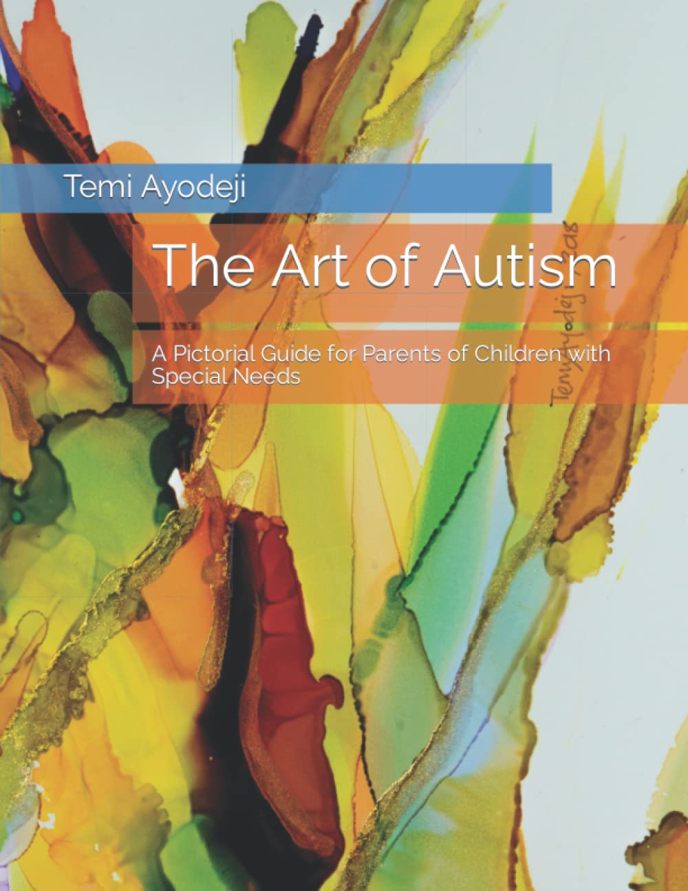 The Art of Autism: A Pictorial Guide for Parents of Children with ...