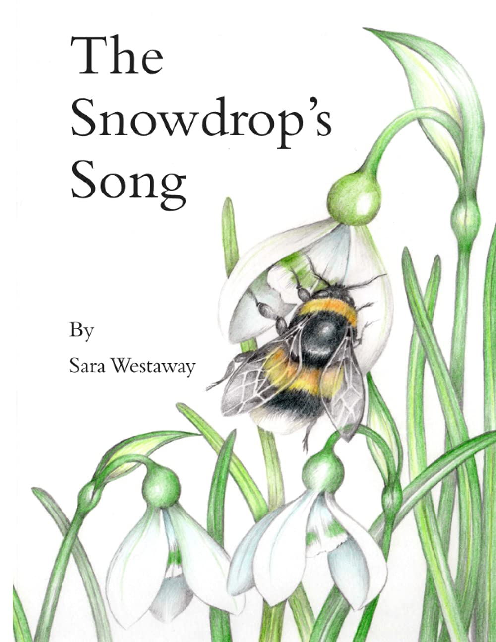 The Snowdrop's Song by Sara Westaway | Goodreads