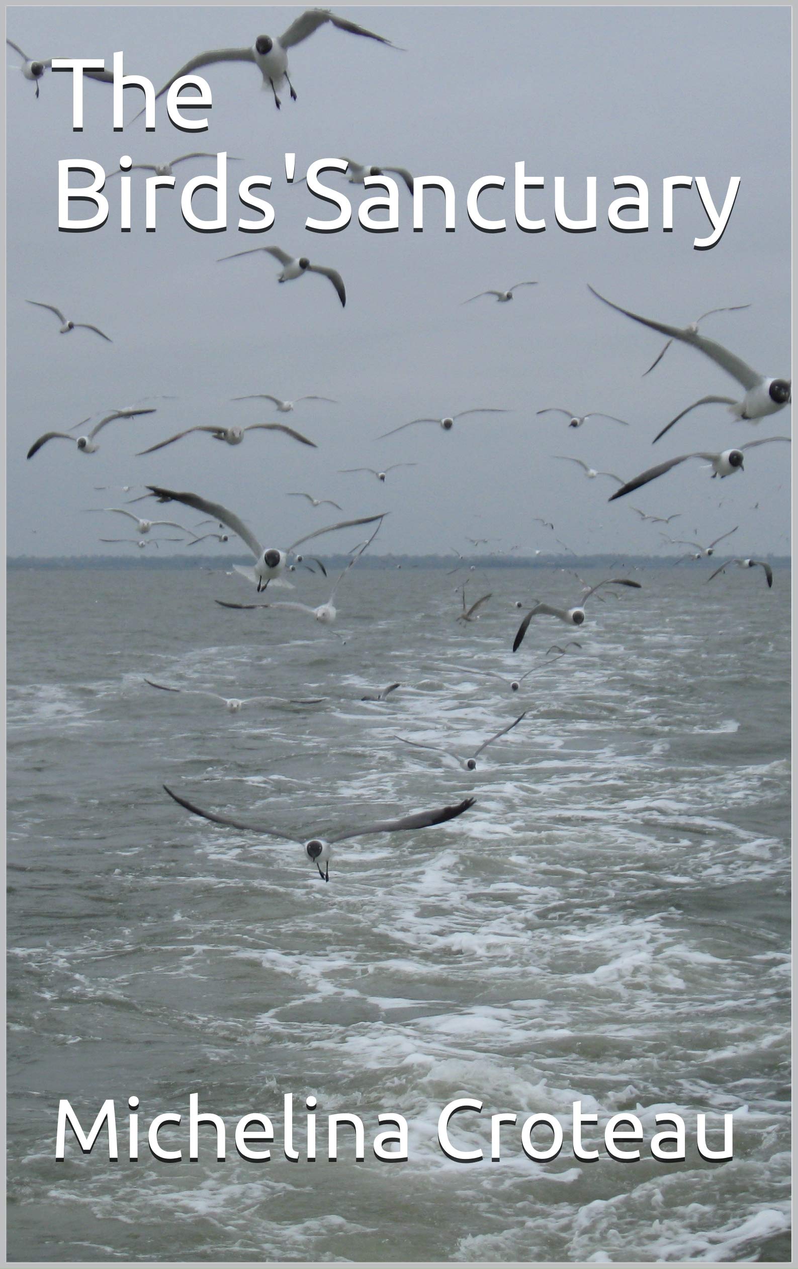 The Birds'Sanctuary by Michelina Croteau | Goodreads