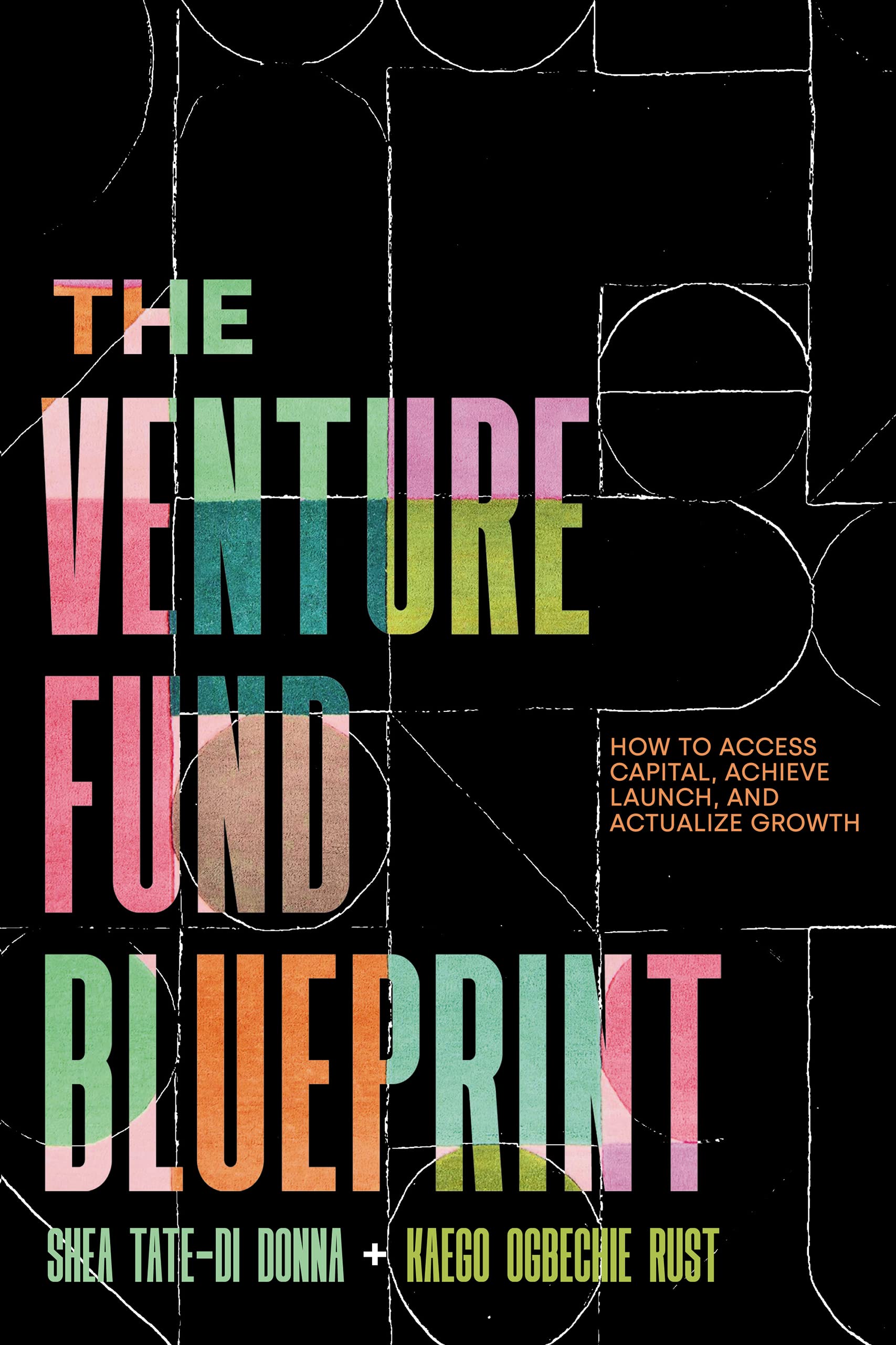 The Venture Fund Blueprint: How to Access Capital, Achieve Launch, and ...