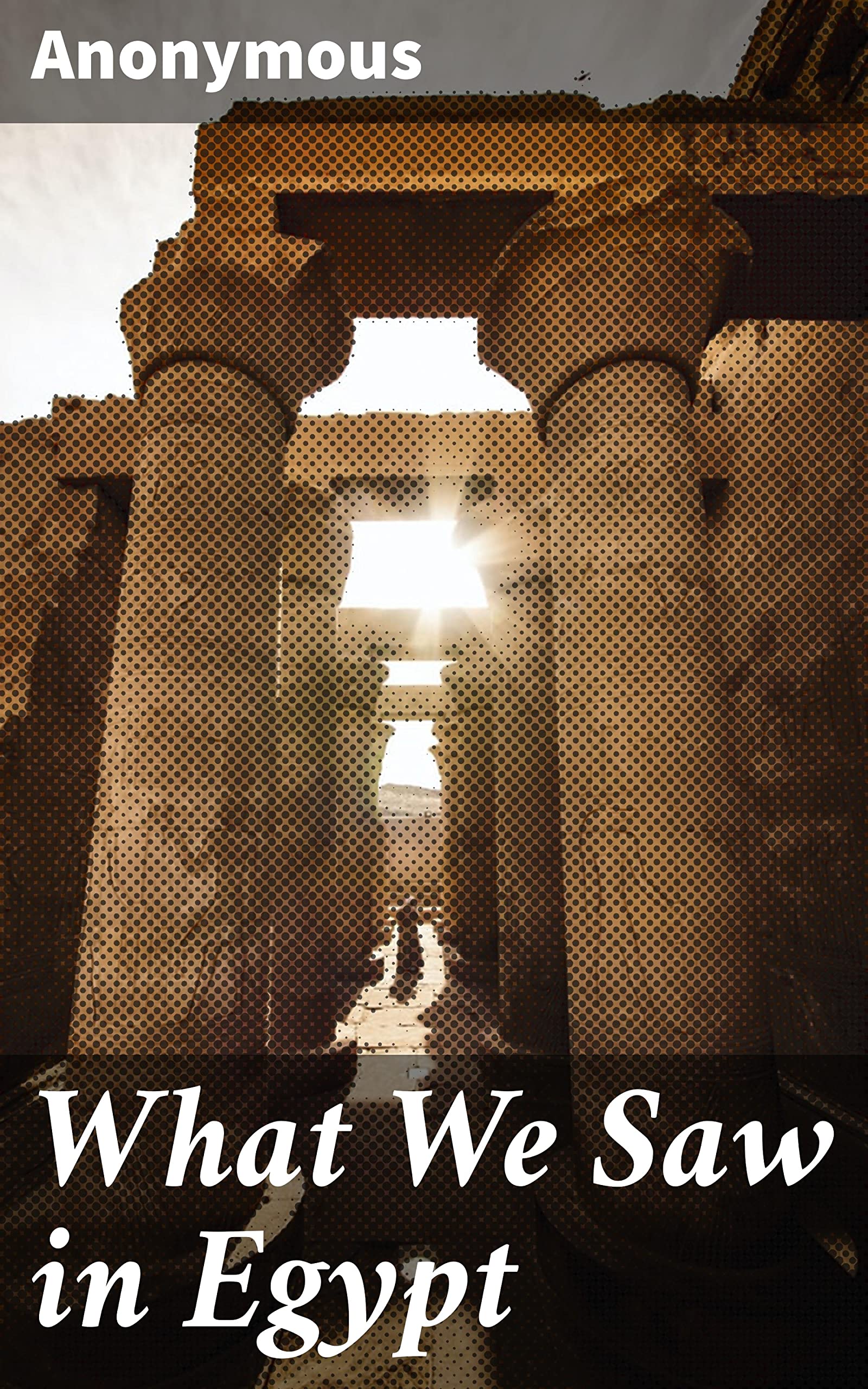 What We Saw in Egypt by Anonymous | Goodreads
