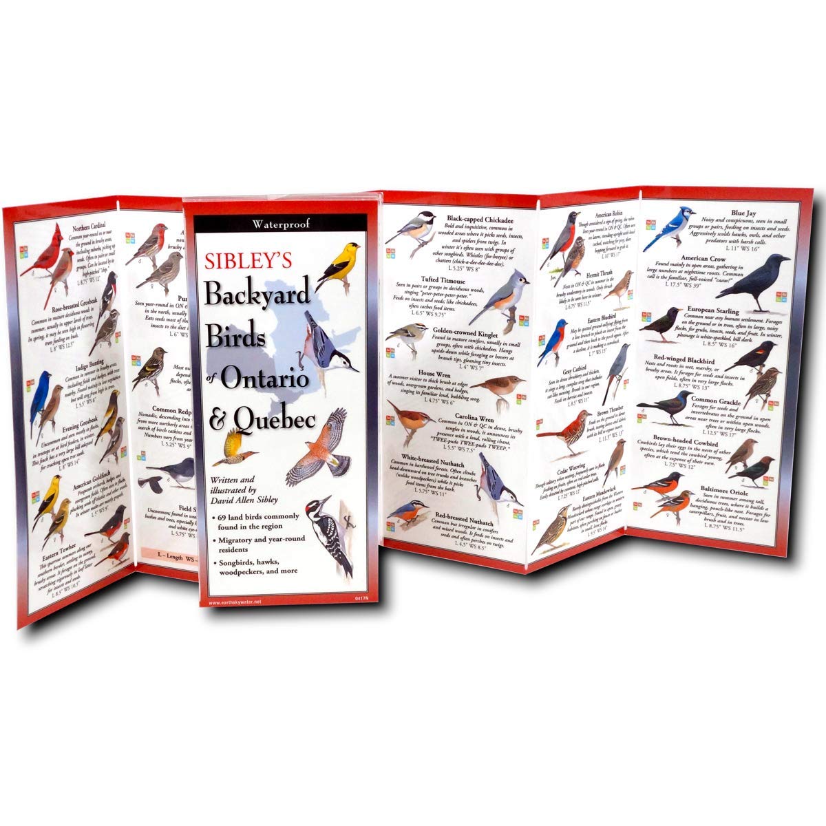 Earth Sky + Water FoldingGuide™ - Sibley’s Backyard Birds of Ontario ...