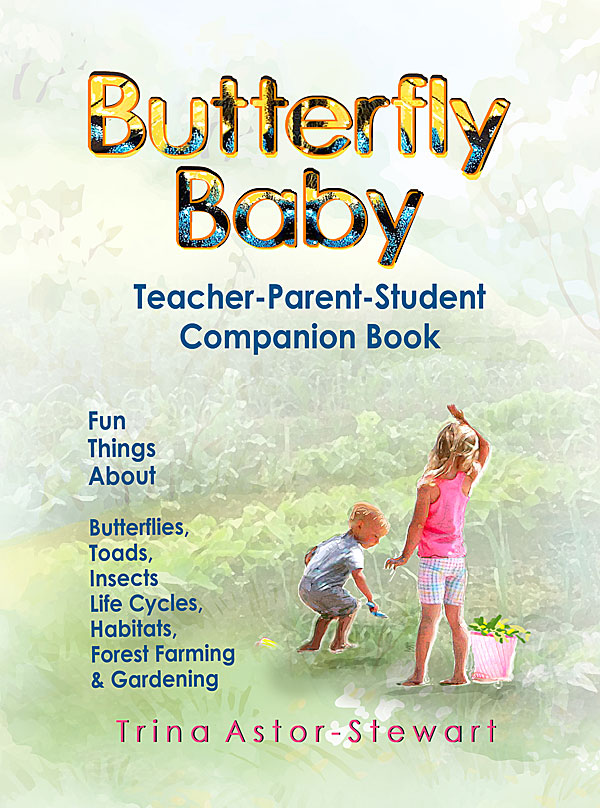 Butterfly Baby Teacher-Parent-Student Companion Book by Trina Astor ...