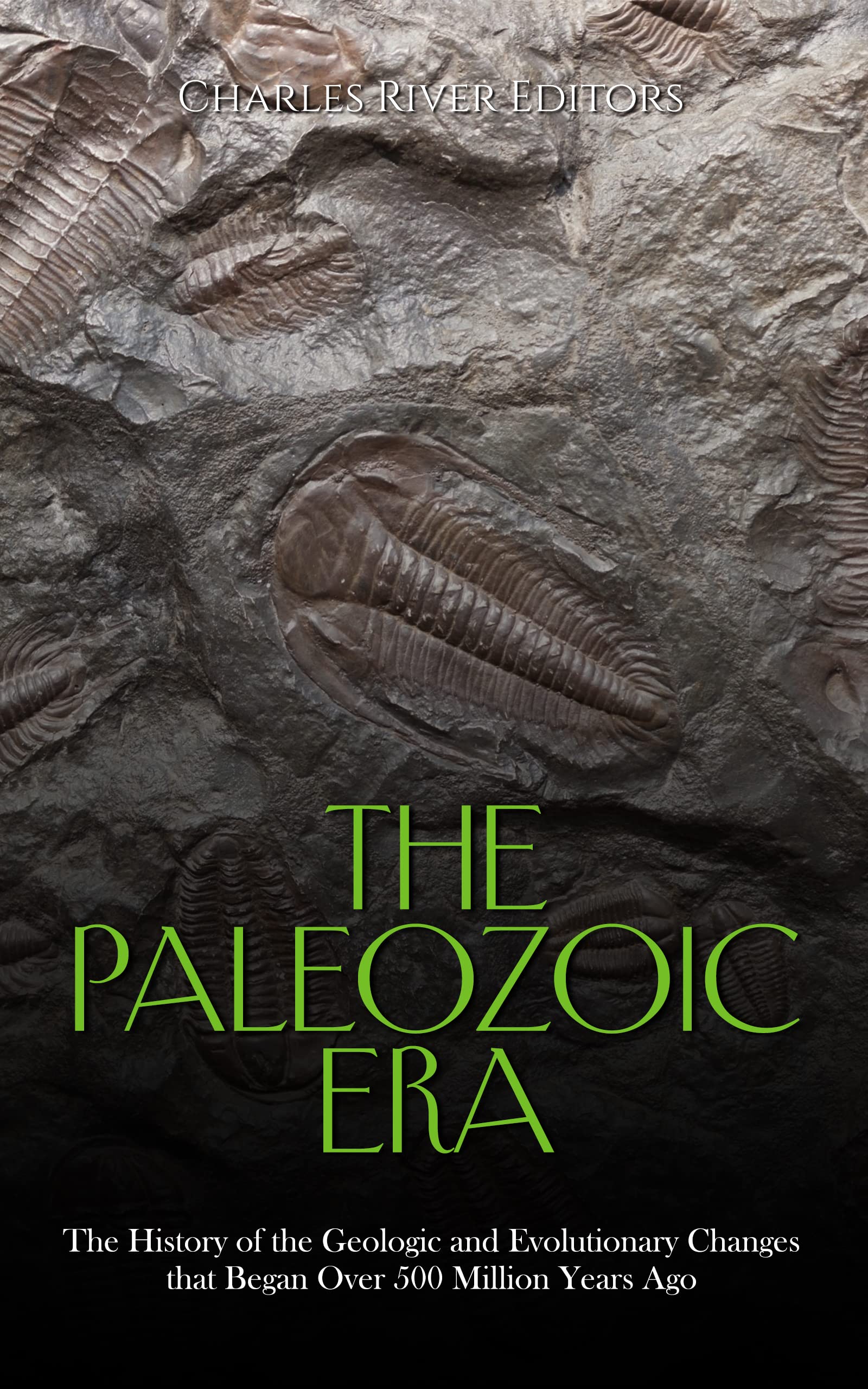 The Paleozoic Era: The History of the Geologic and Evolutionary Changes ...