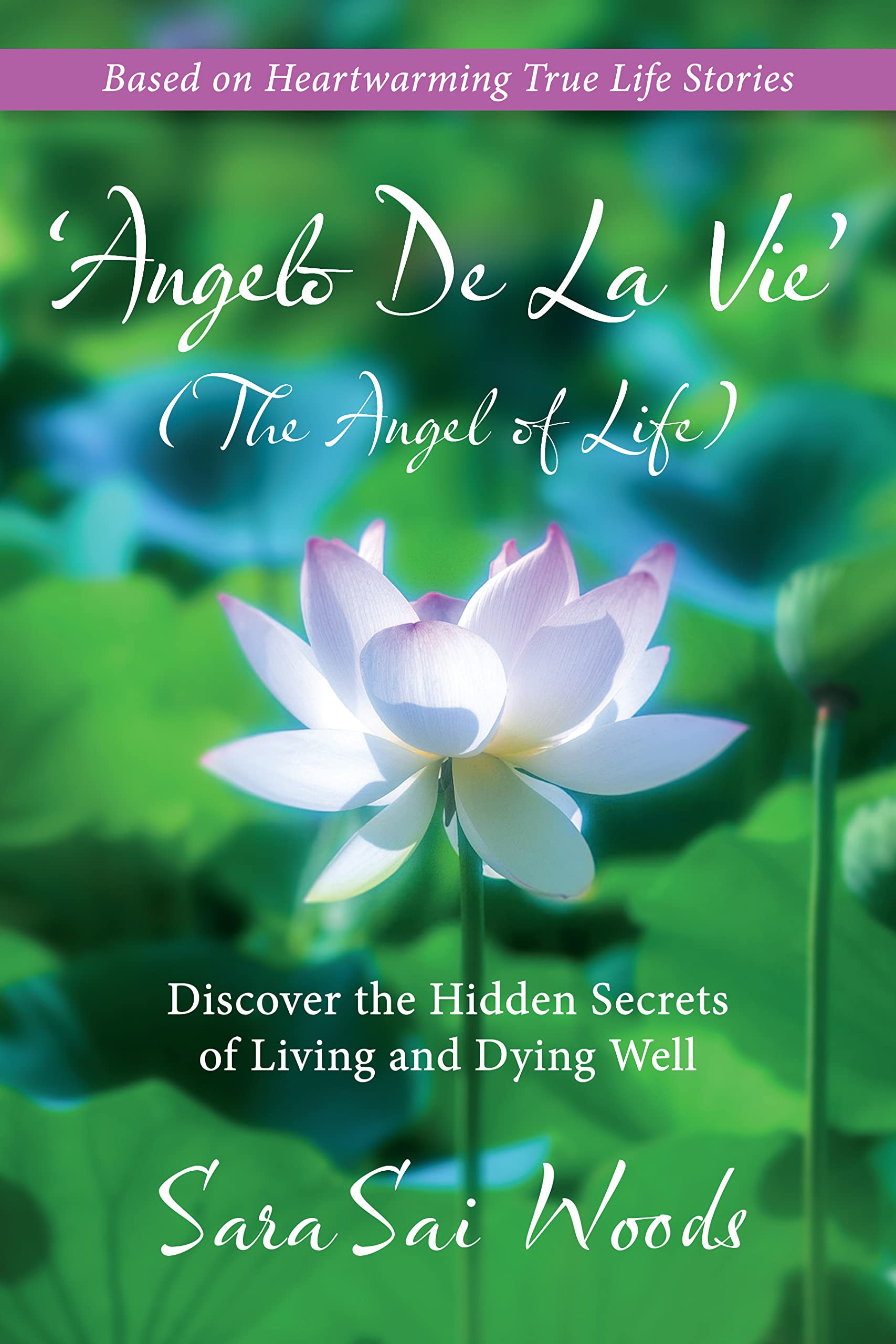 'Angelo De La Vie' The Angel of Life: Discover The Hidden Secrets of Living and Dying Well by ...