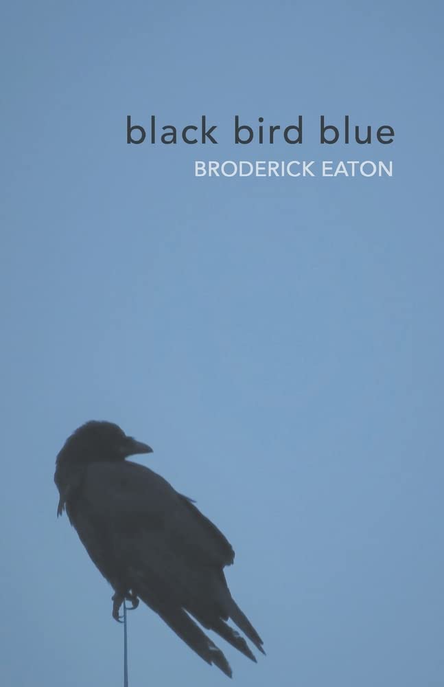 black bird blue by Broderick Eaton | Goodreads
