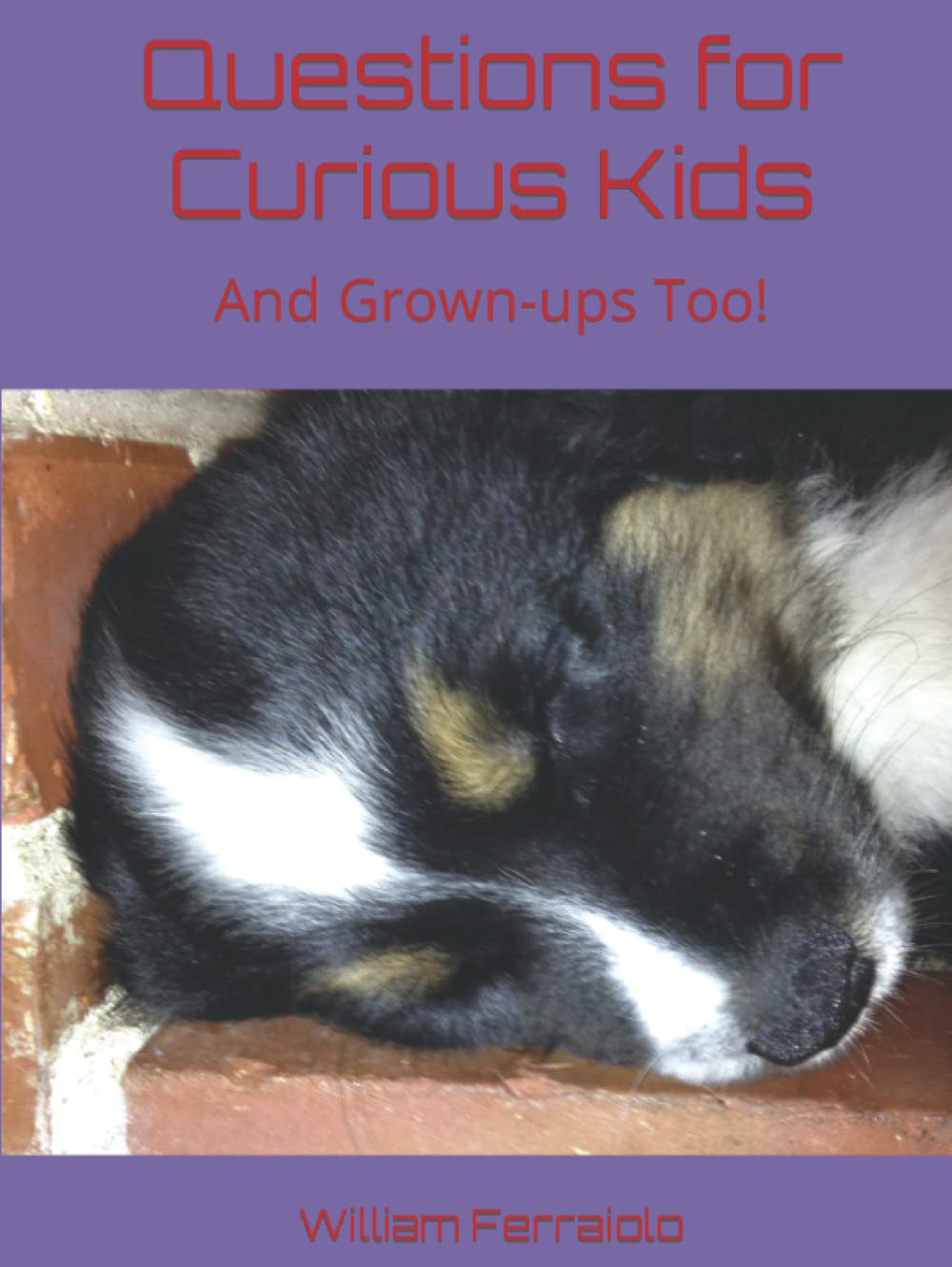 Questions for Curious Kids: And Grown-ups Too! by William Ferraiolo ...