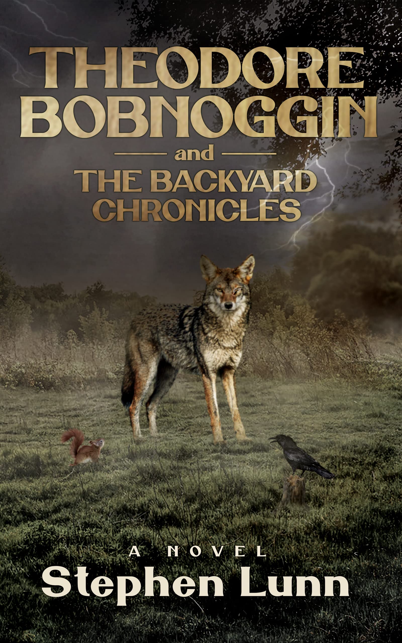 Theodore Bobnoggin and The Backyard Chronicles by Stephen Lunn | Goodreads
