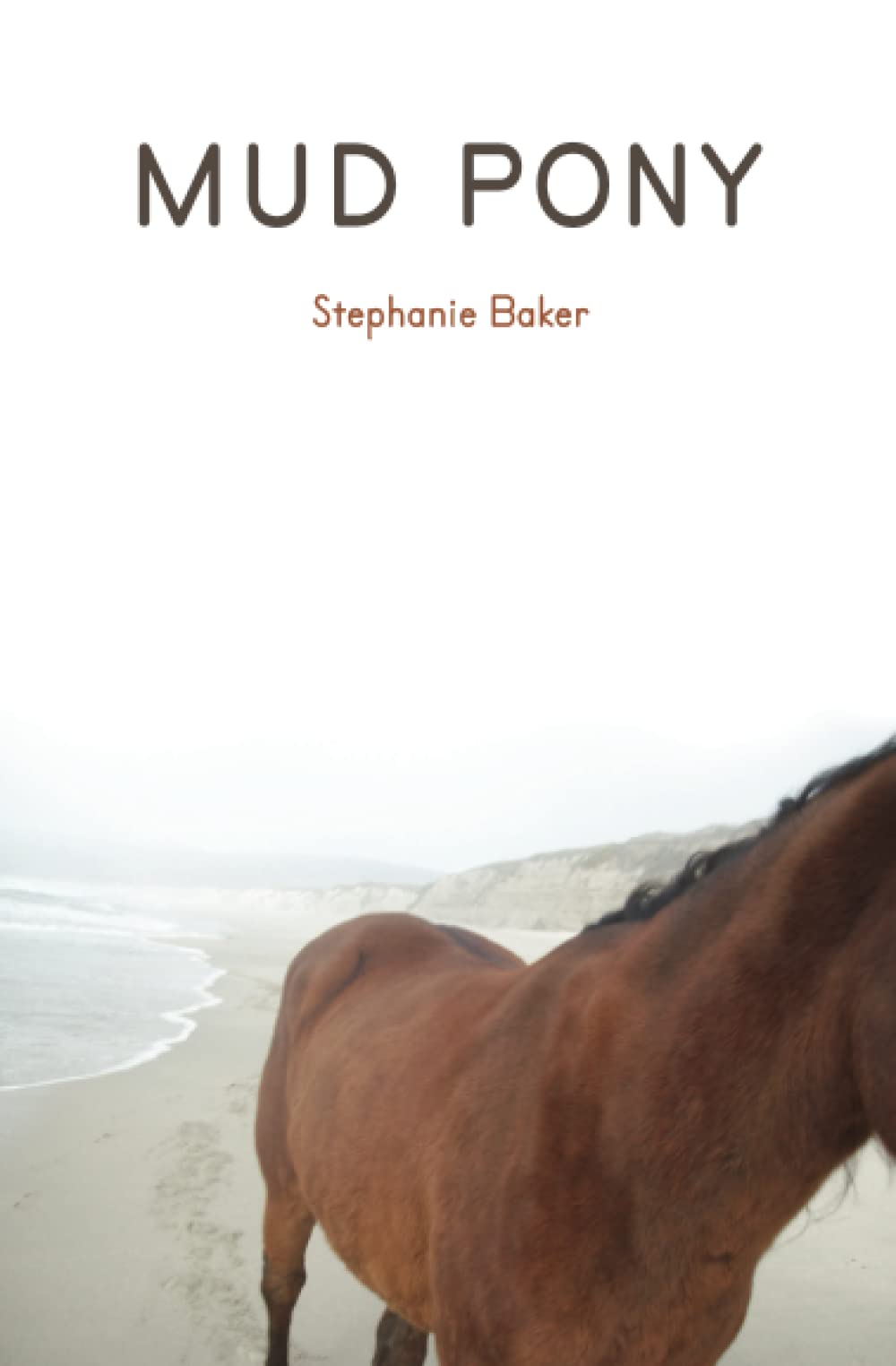 Mud Pony by Stephanie Baker | Goodreads