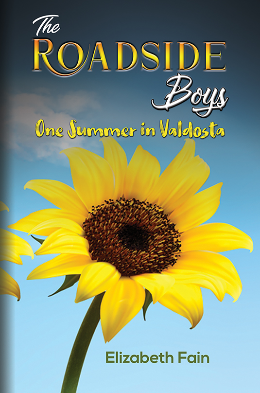 The Roadside Boys by Elizabeth Fain | Goodreads