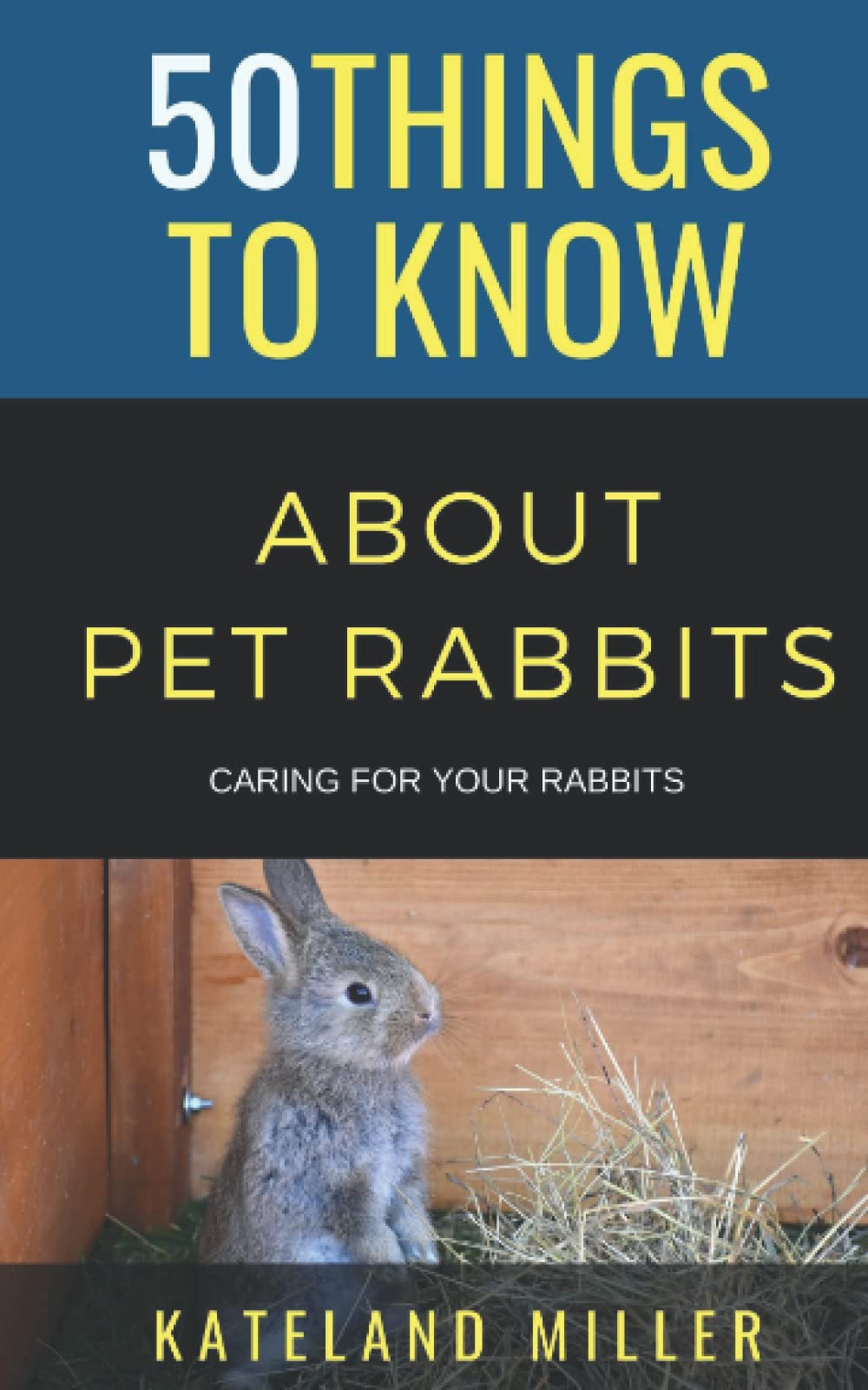 50 Things to Know About Pet Rabbits: Caring for your Rabbits by ...