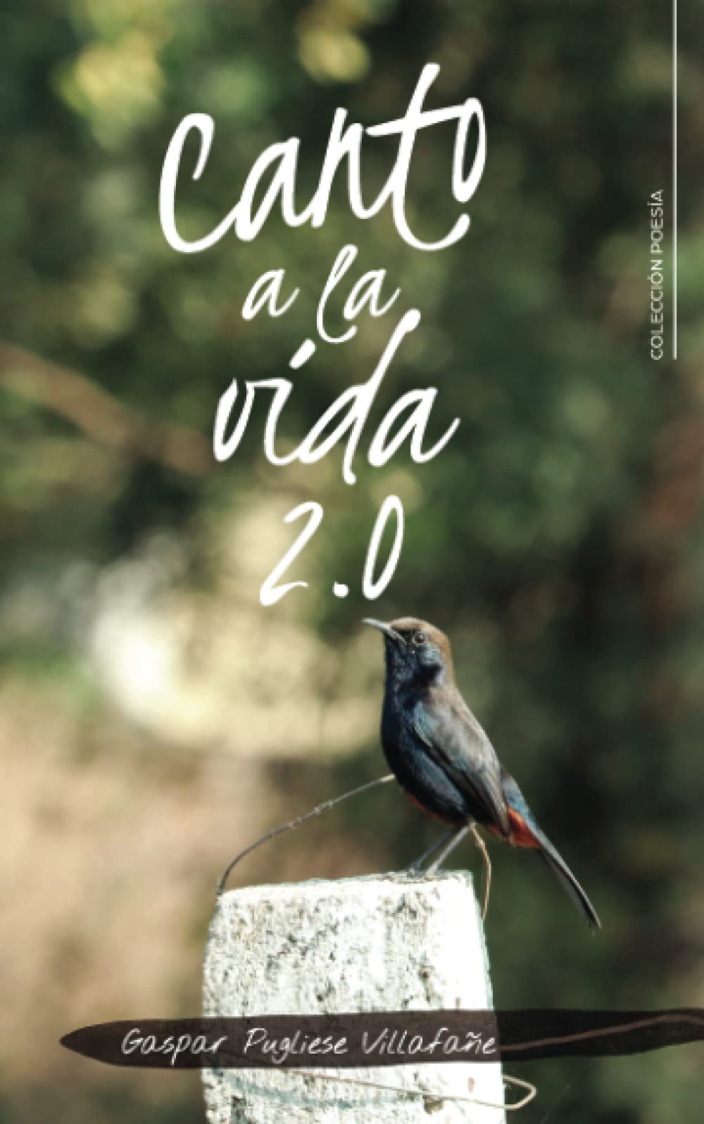 Canto a la vida 2.0 by Gaspar Pugliese Villafañe | Goodreads