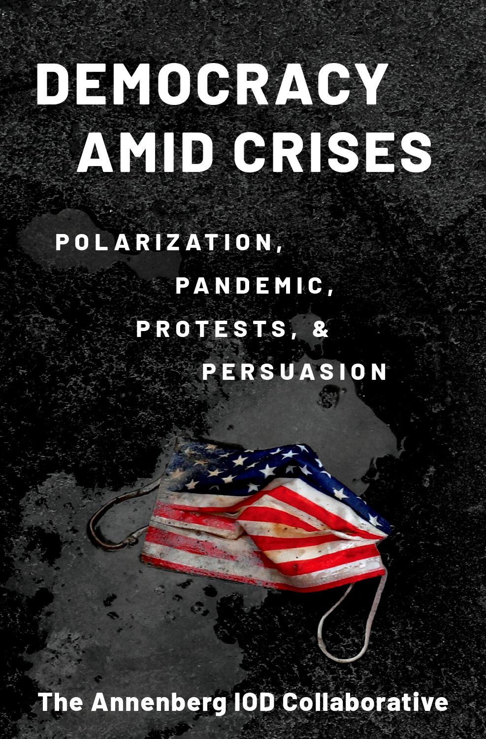 Democracy amid Crises: Polarization, Pandemic, Protests, and Persuasion ...