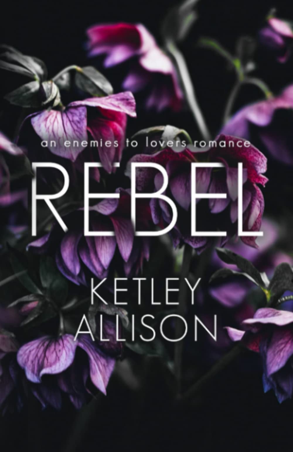 Rebel (Players to Lovers) by Ketley Allison | Goodreads
