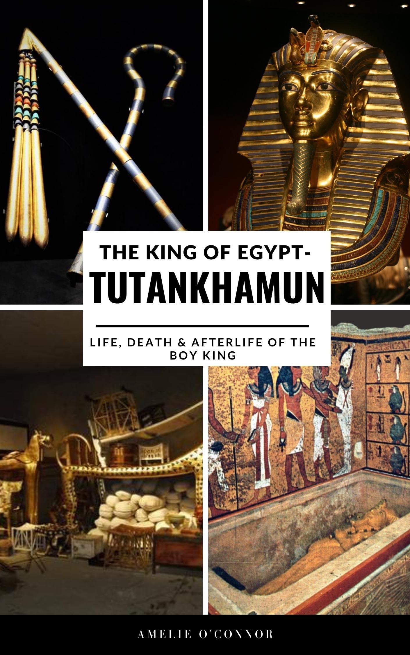 The King Of Egypt-Tutankhamun: Life, Death & Afterlife of The Boy King ...
